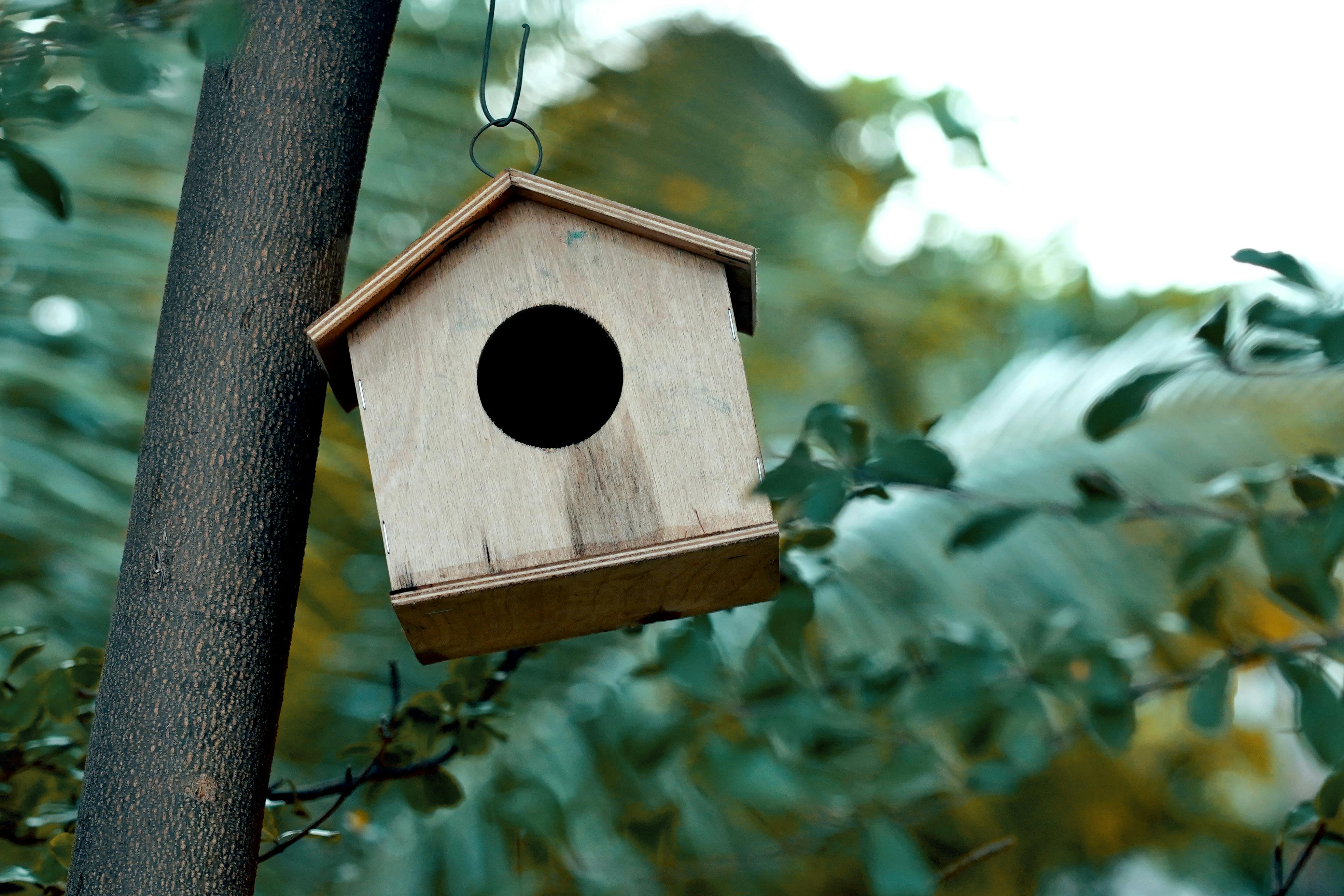 Brown Wooden Bird House Hanging on Tree · Free Stock Photo