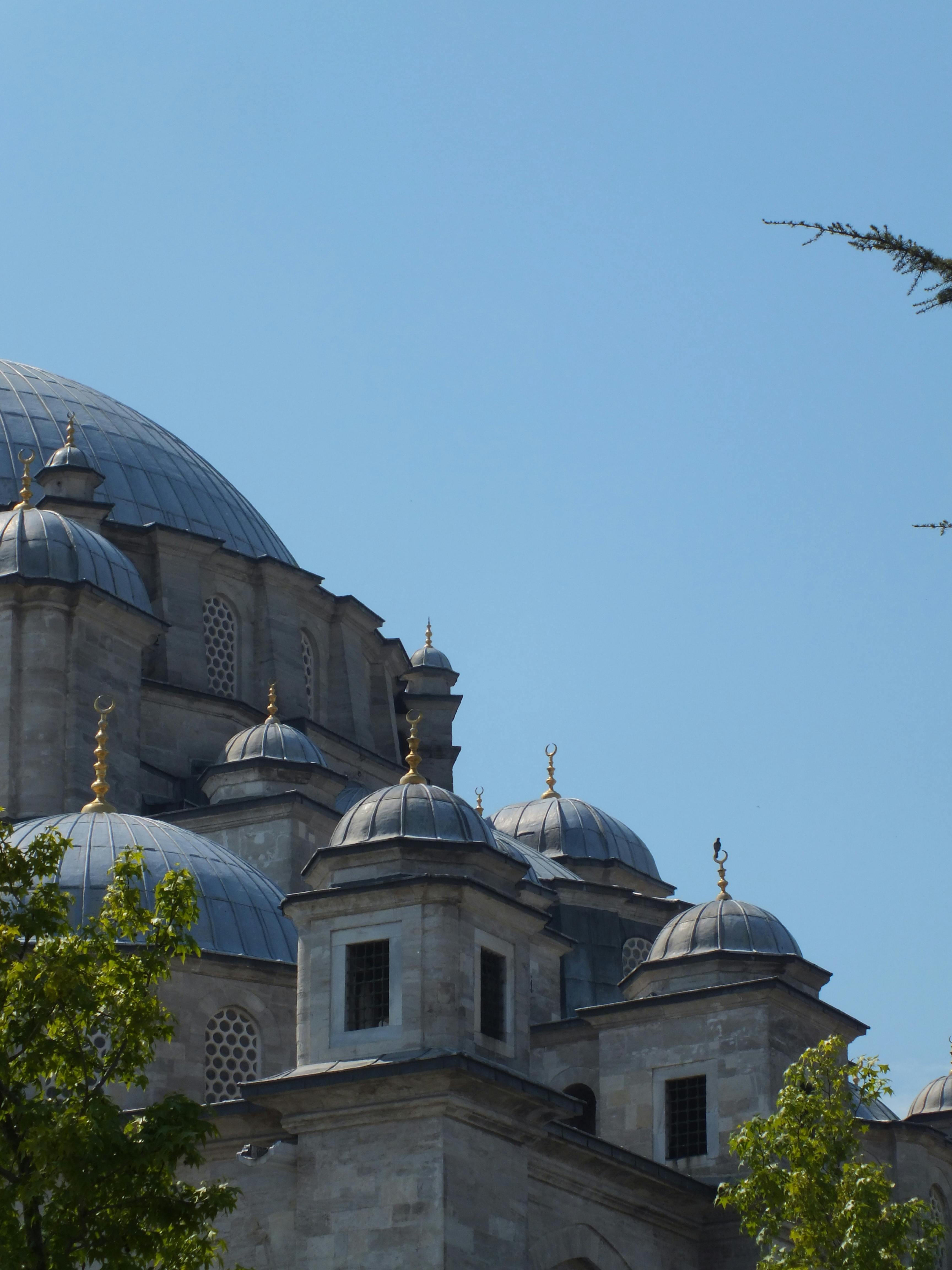 Closeup of Architecture with Cupolas · Free Stock Photo