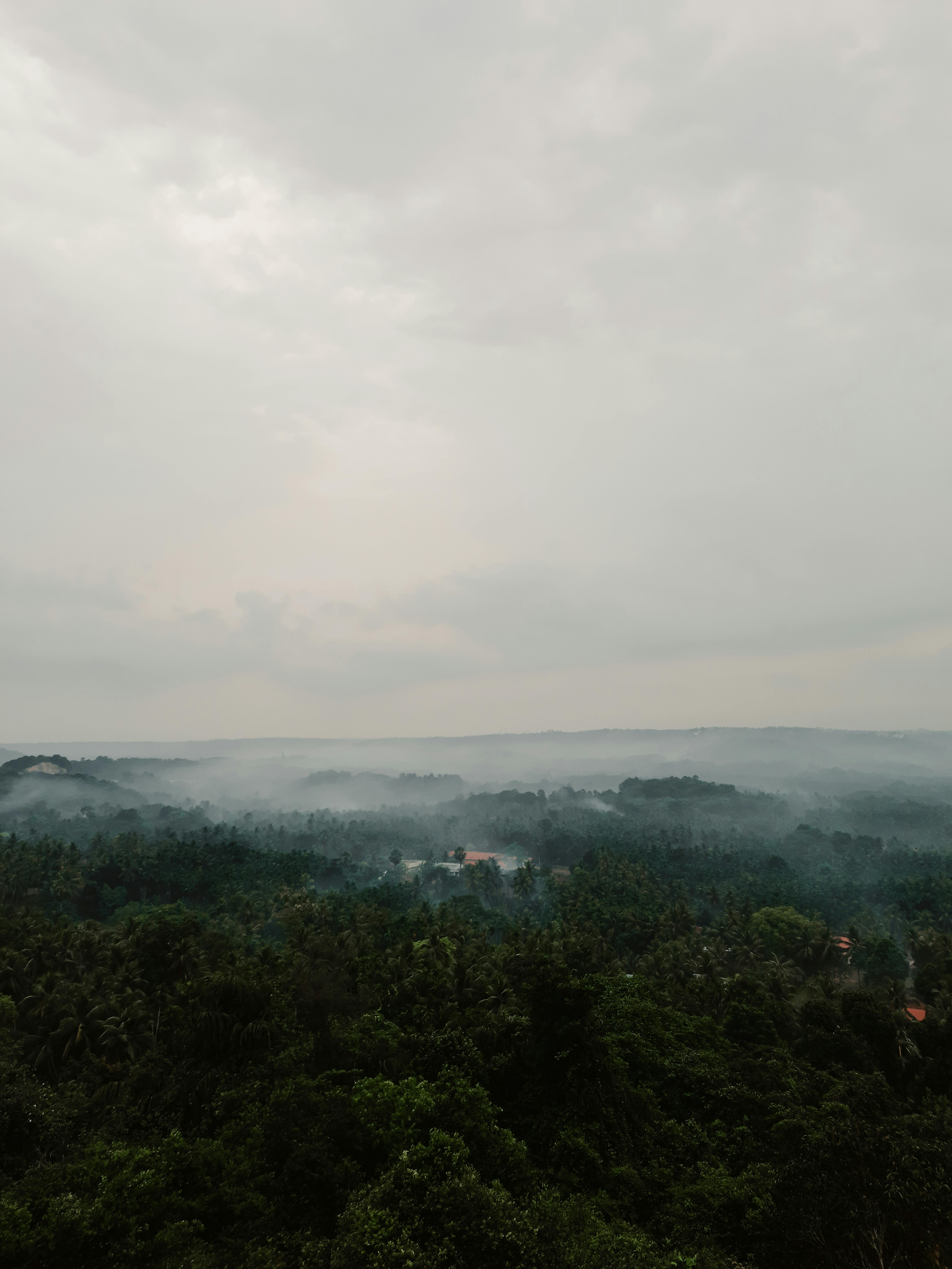 Green Trees Under White Clouds · Free Stock Photo