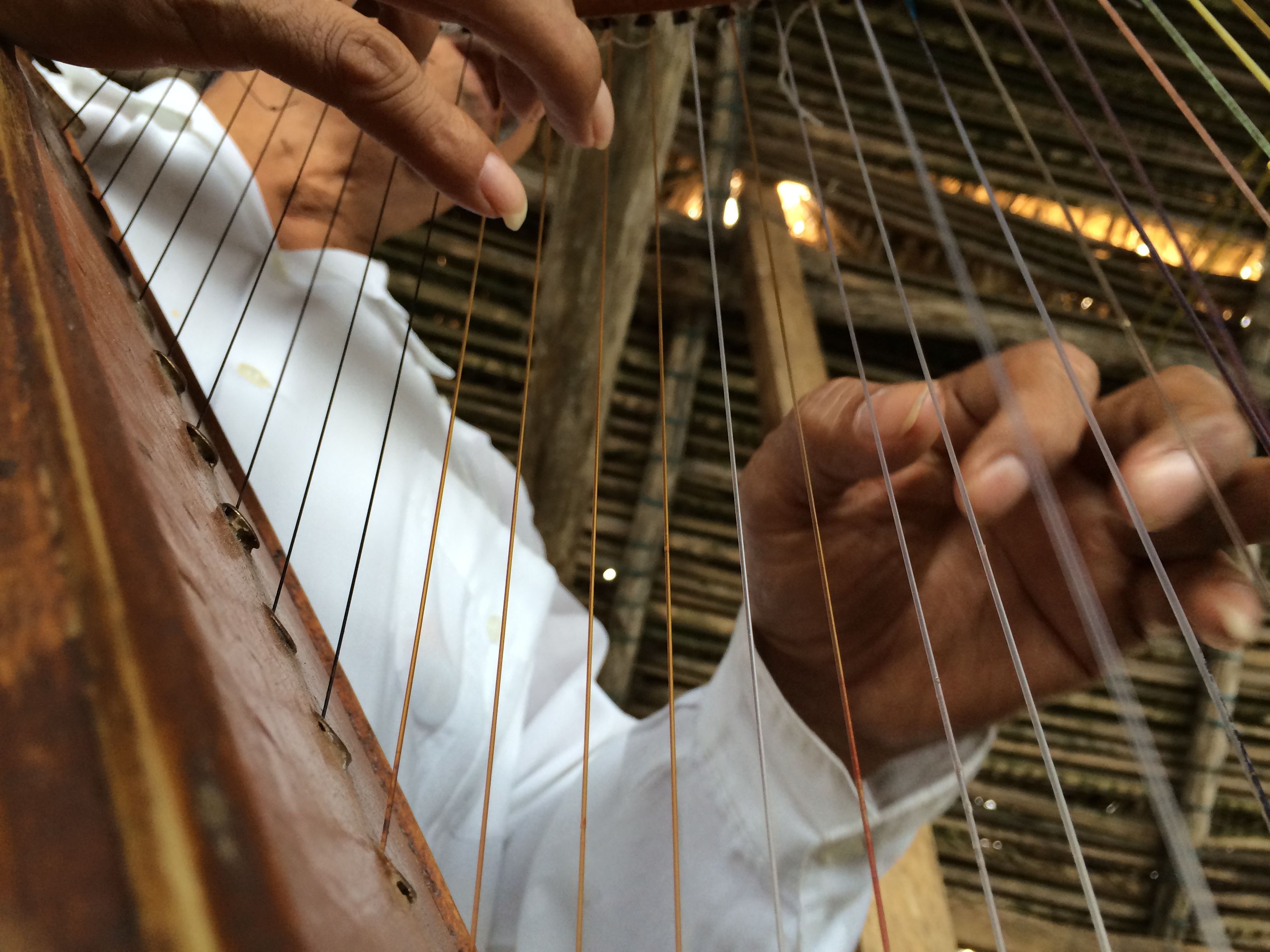 25+ Best Free Harp Stock Photos & Images · 100% Royalty-Free HD Downloads