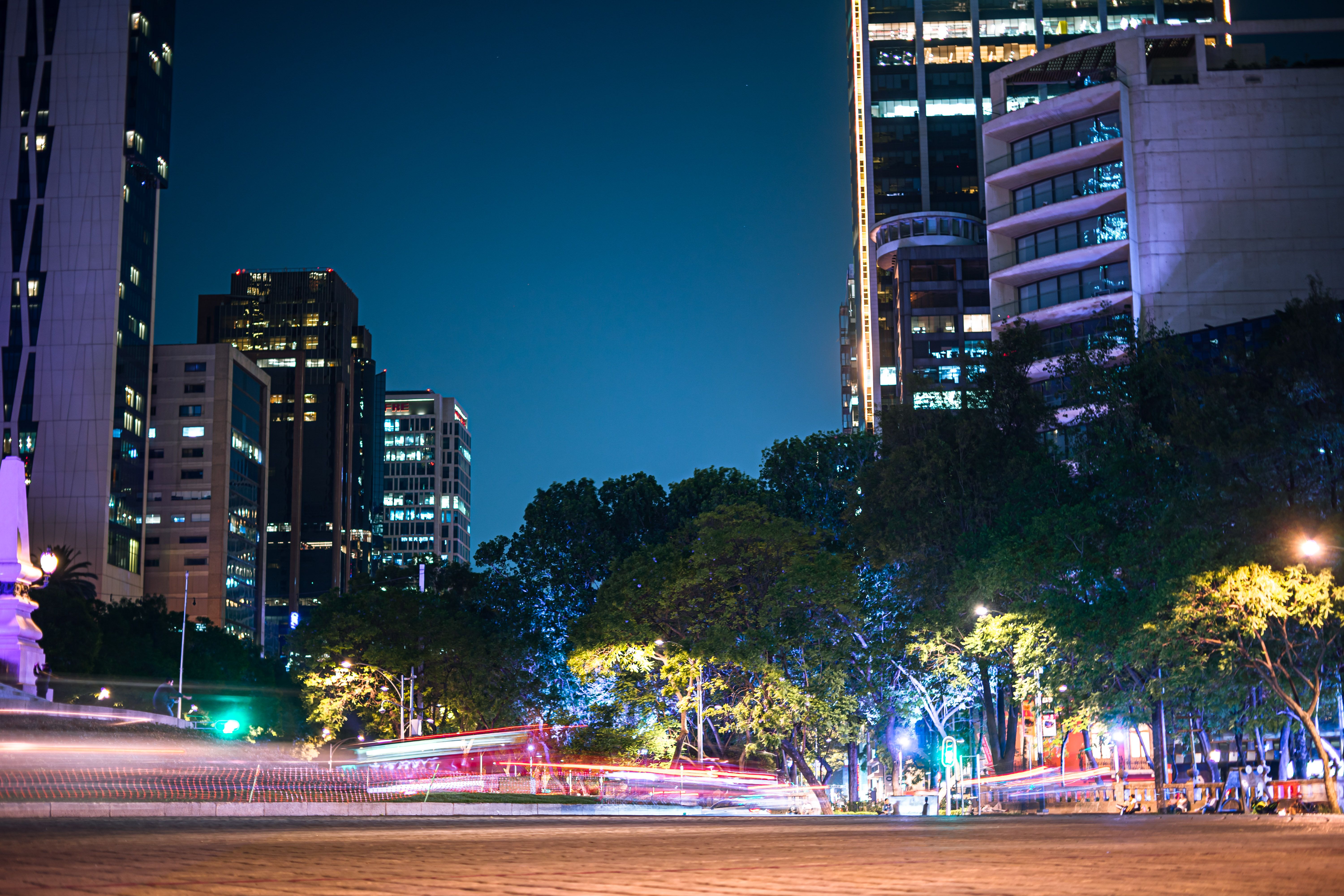 Green Trees Near High Rise Buildings · Free Stock Photo