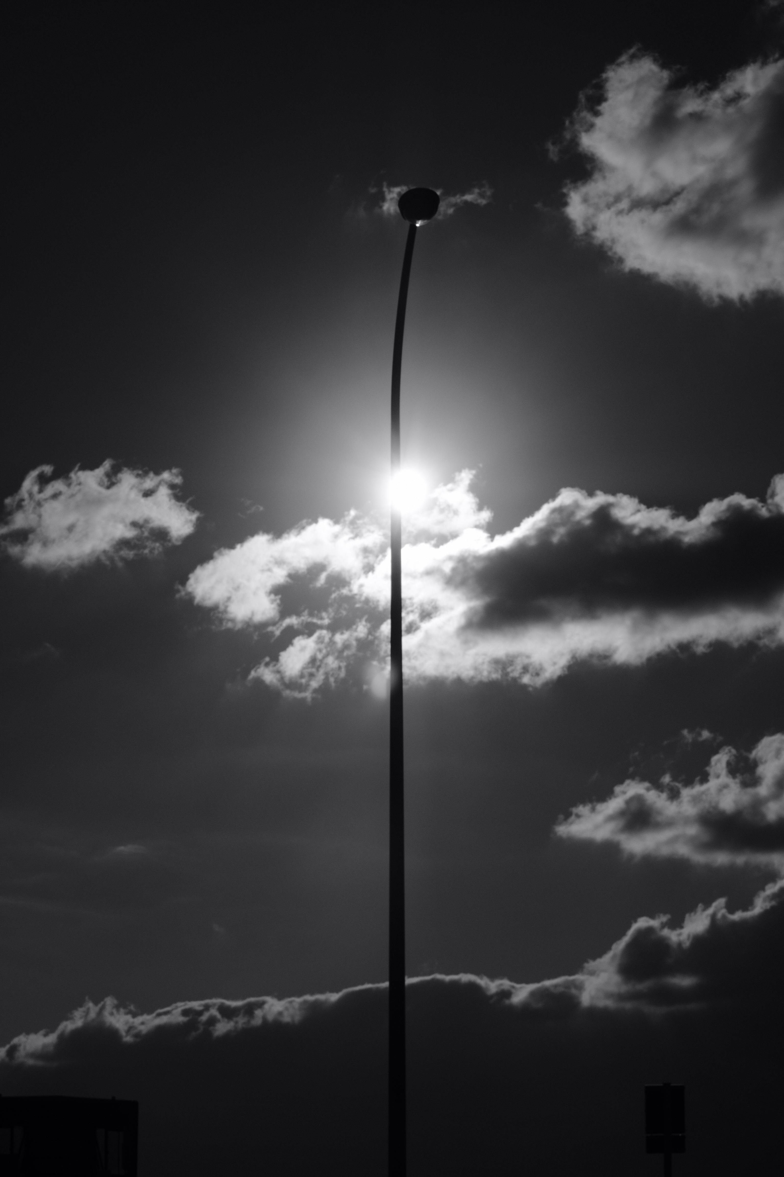 Grayscale Photo of Street Light · Free Stock Photo