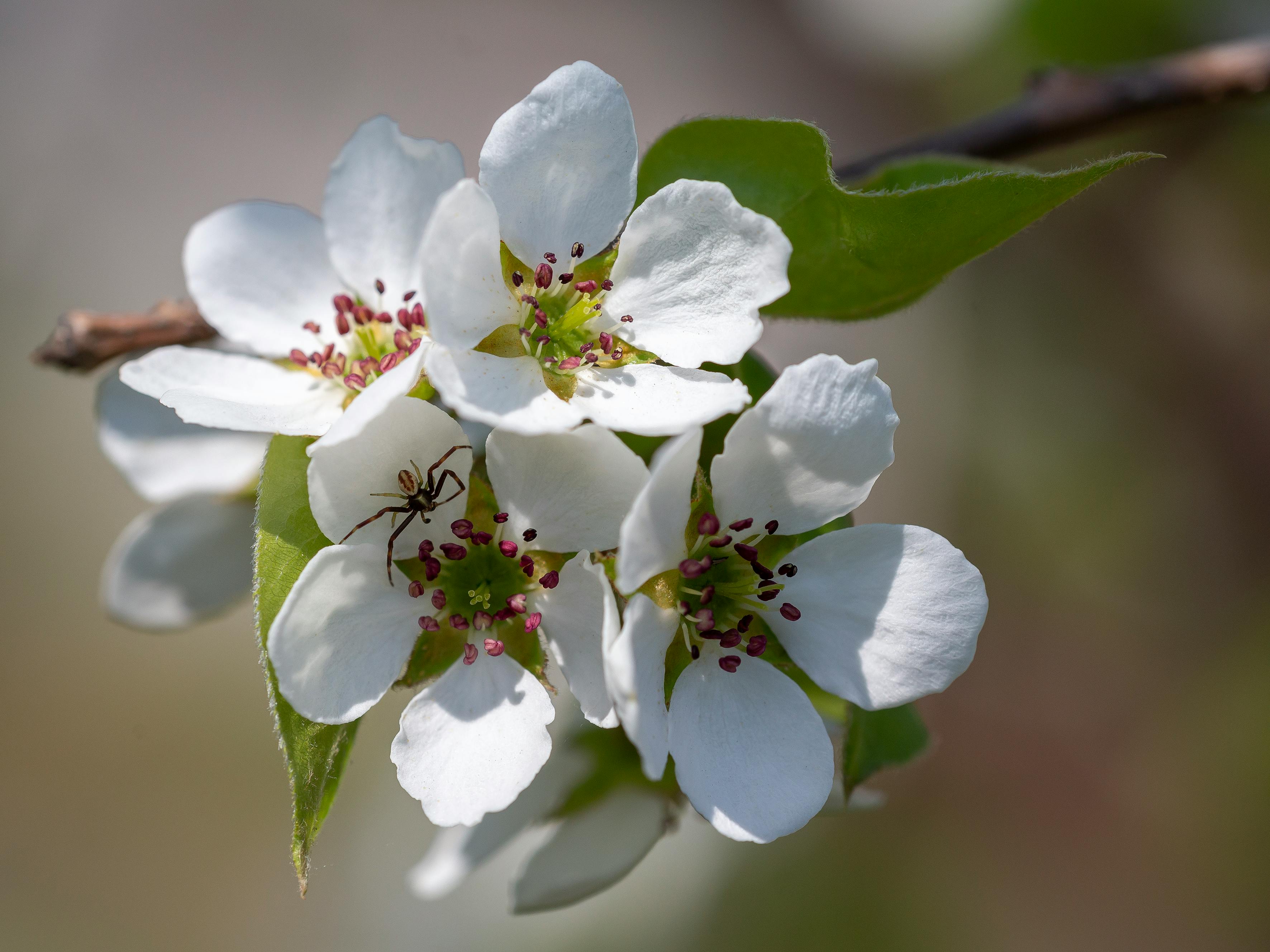 Teterin Oleg – Fotografie