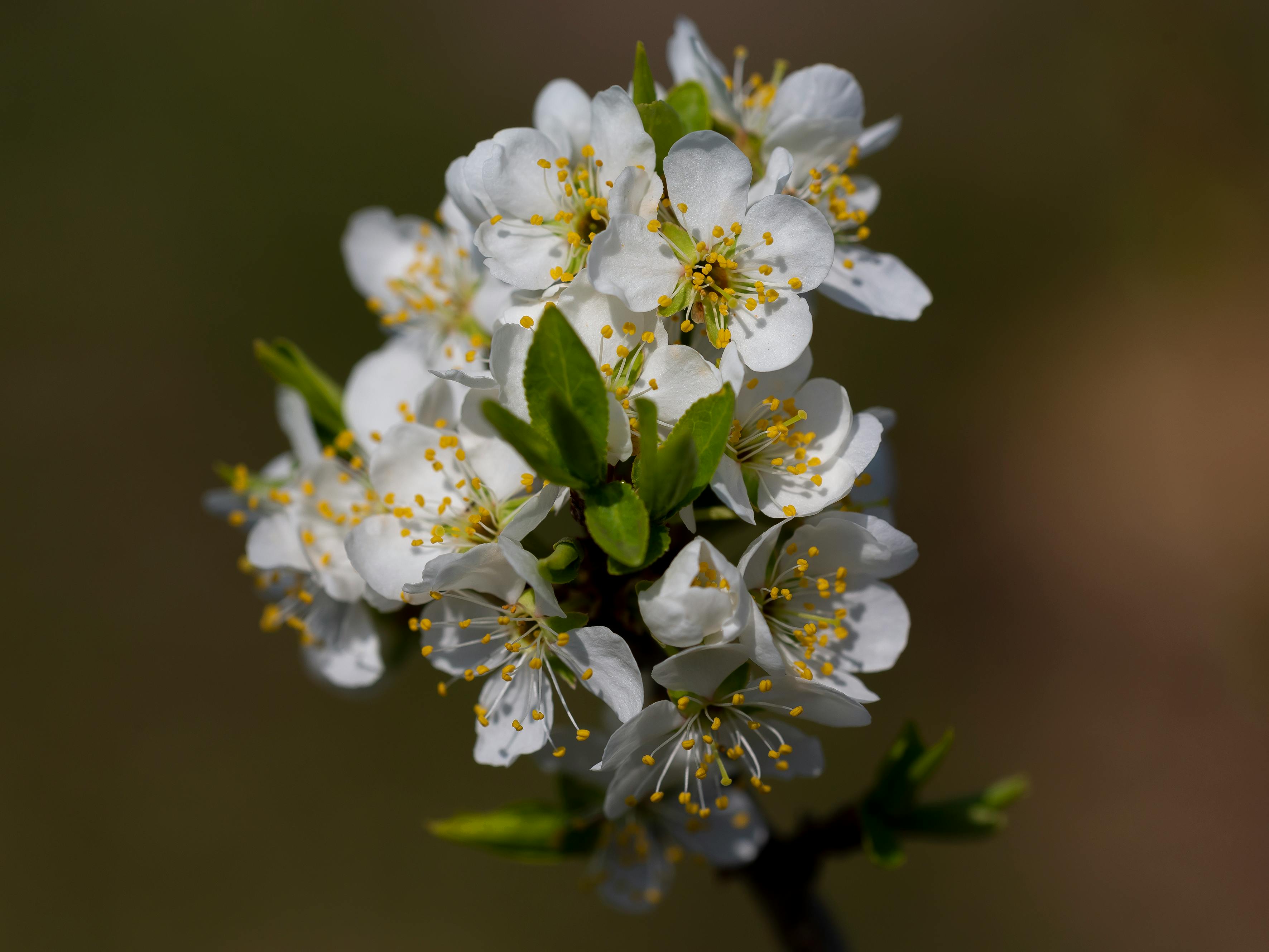 Teterin Oleg – Fotografie