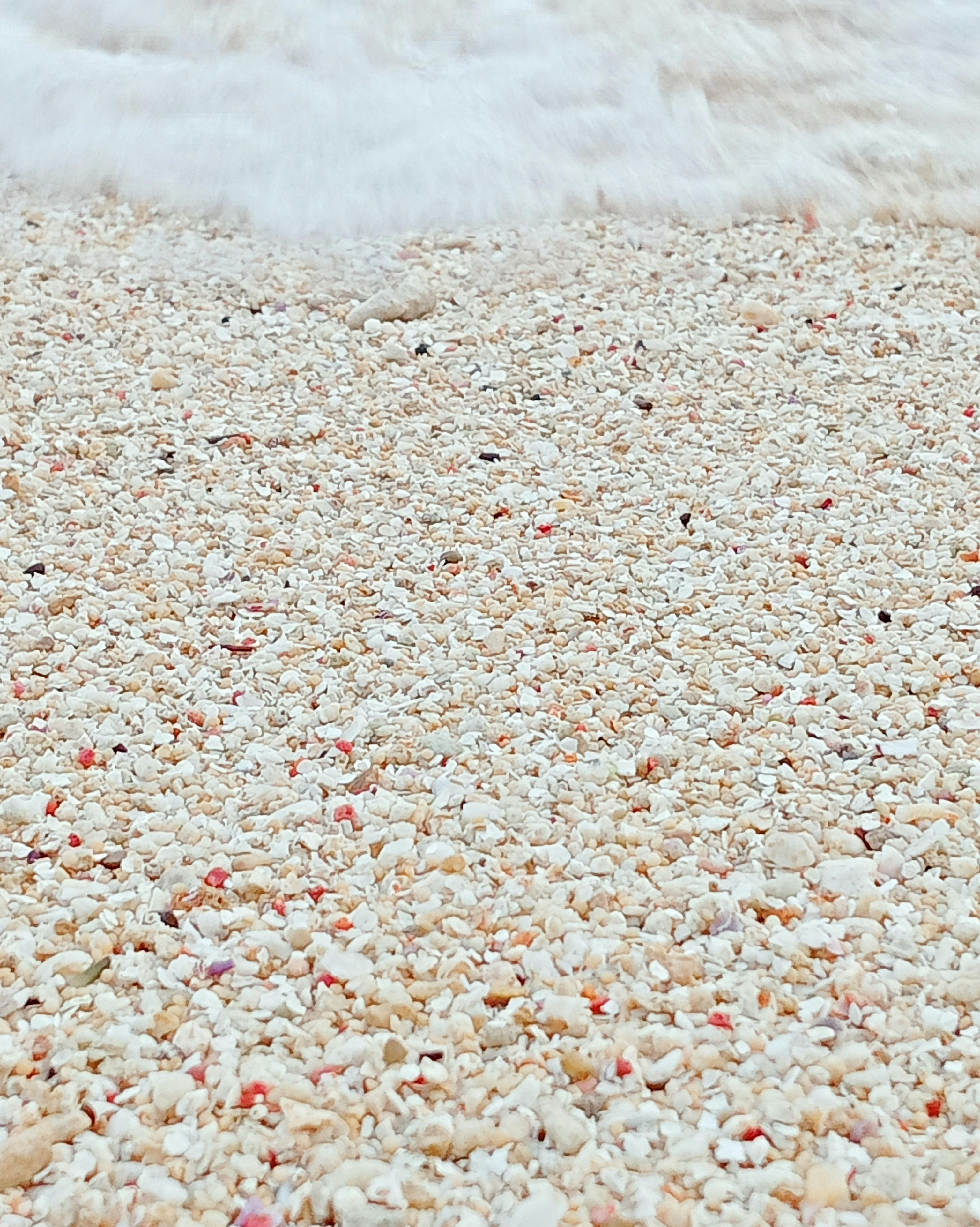 Ann Cortez - Fotografía