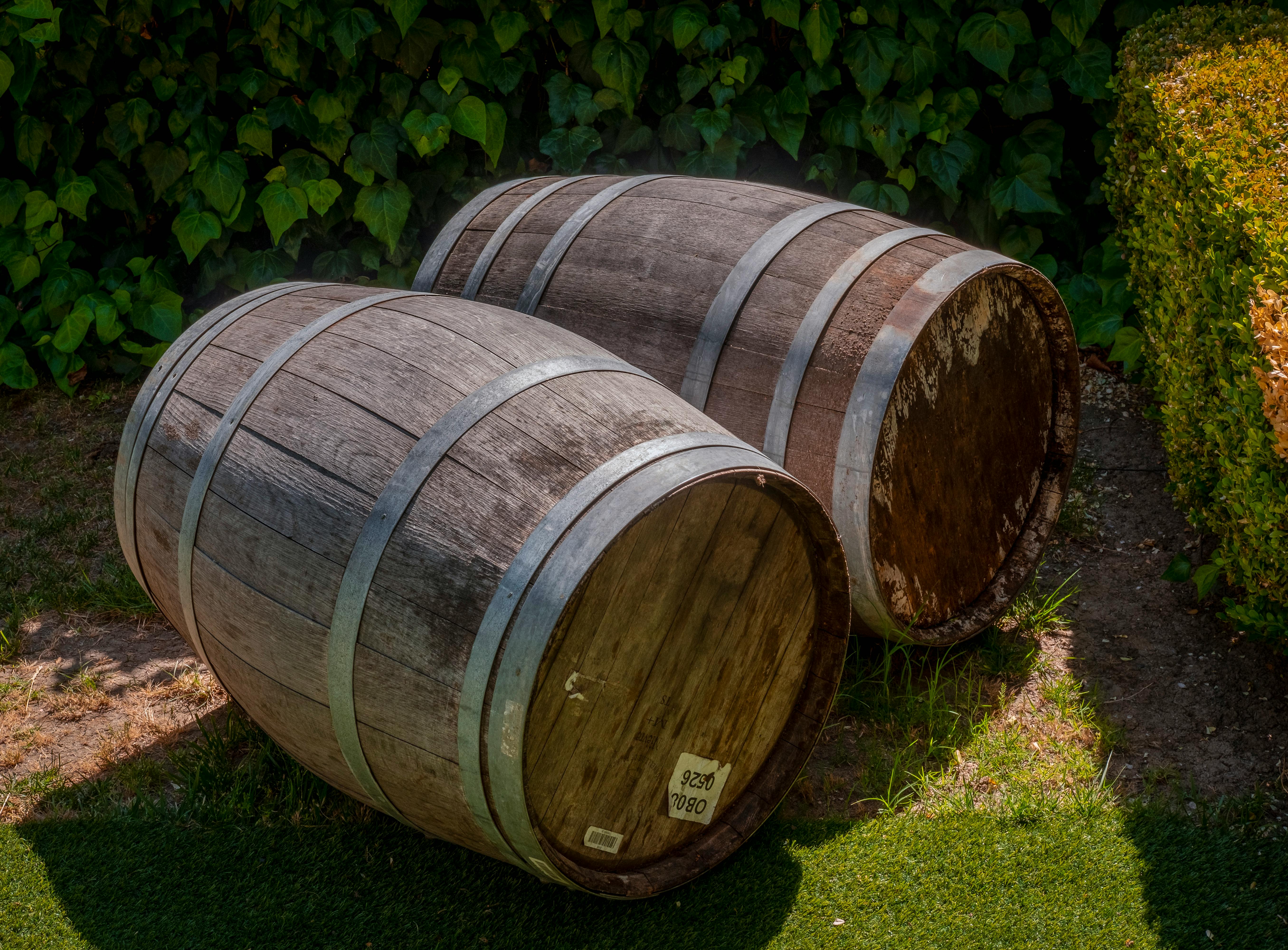 Close-up Photo of Brown Wooden Barrels beside Bushes · Free Stock Photo