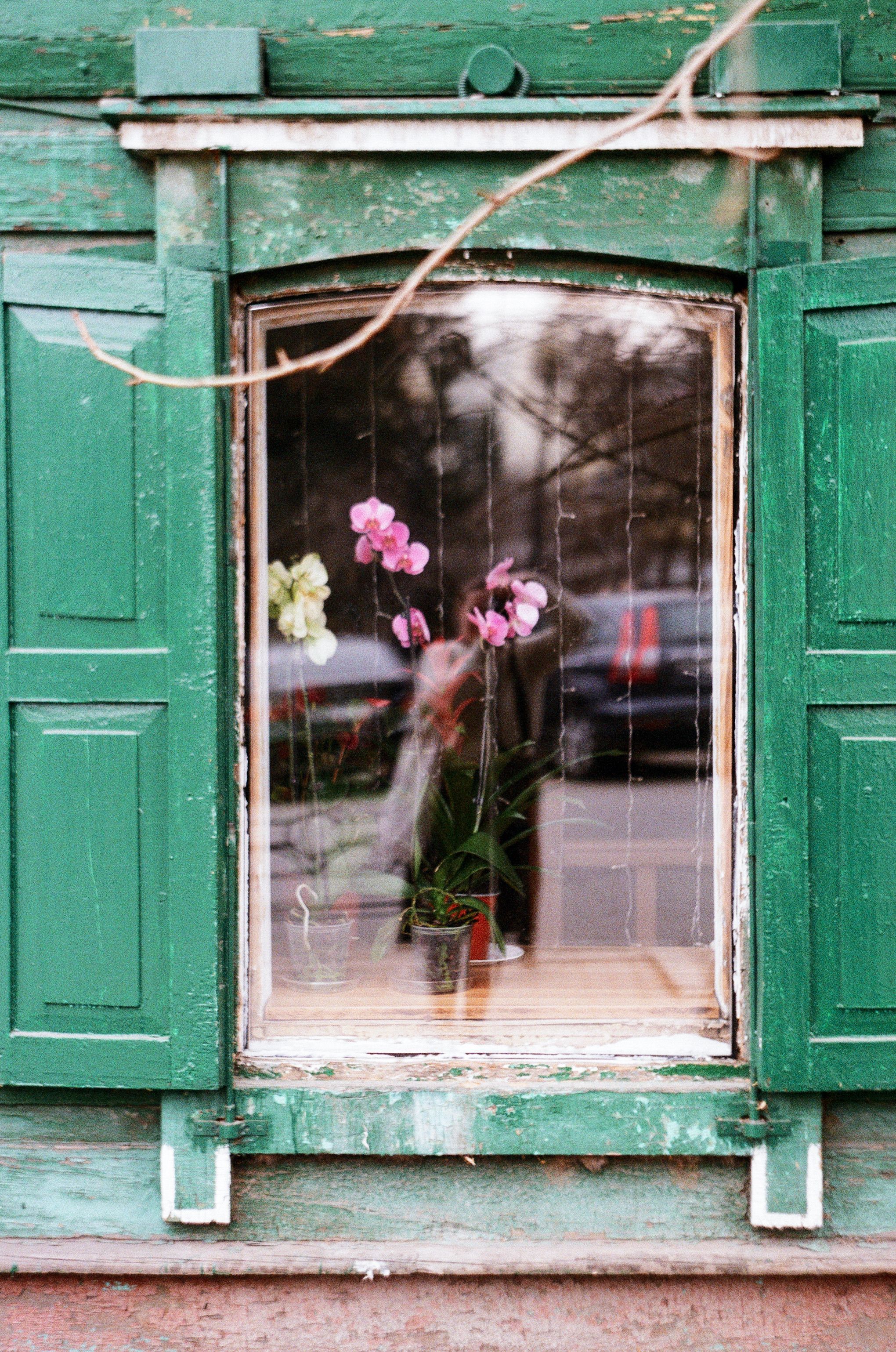 Reflection of Photographer in Window · Free Stock Photo