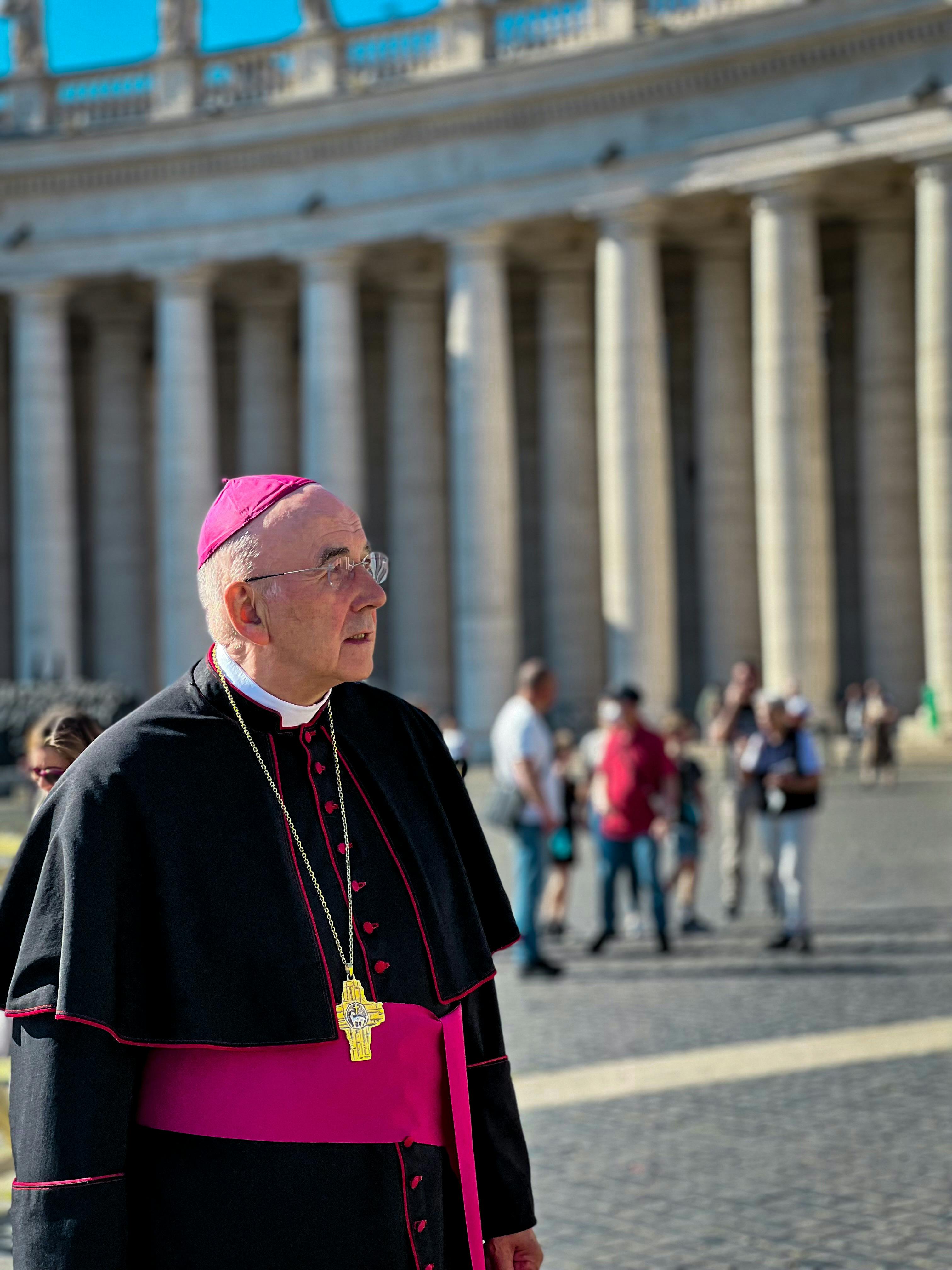 Cardinal Photos, Download The BEST Free Cardinal Stock Photos & HD Images