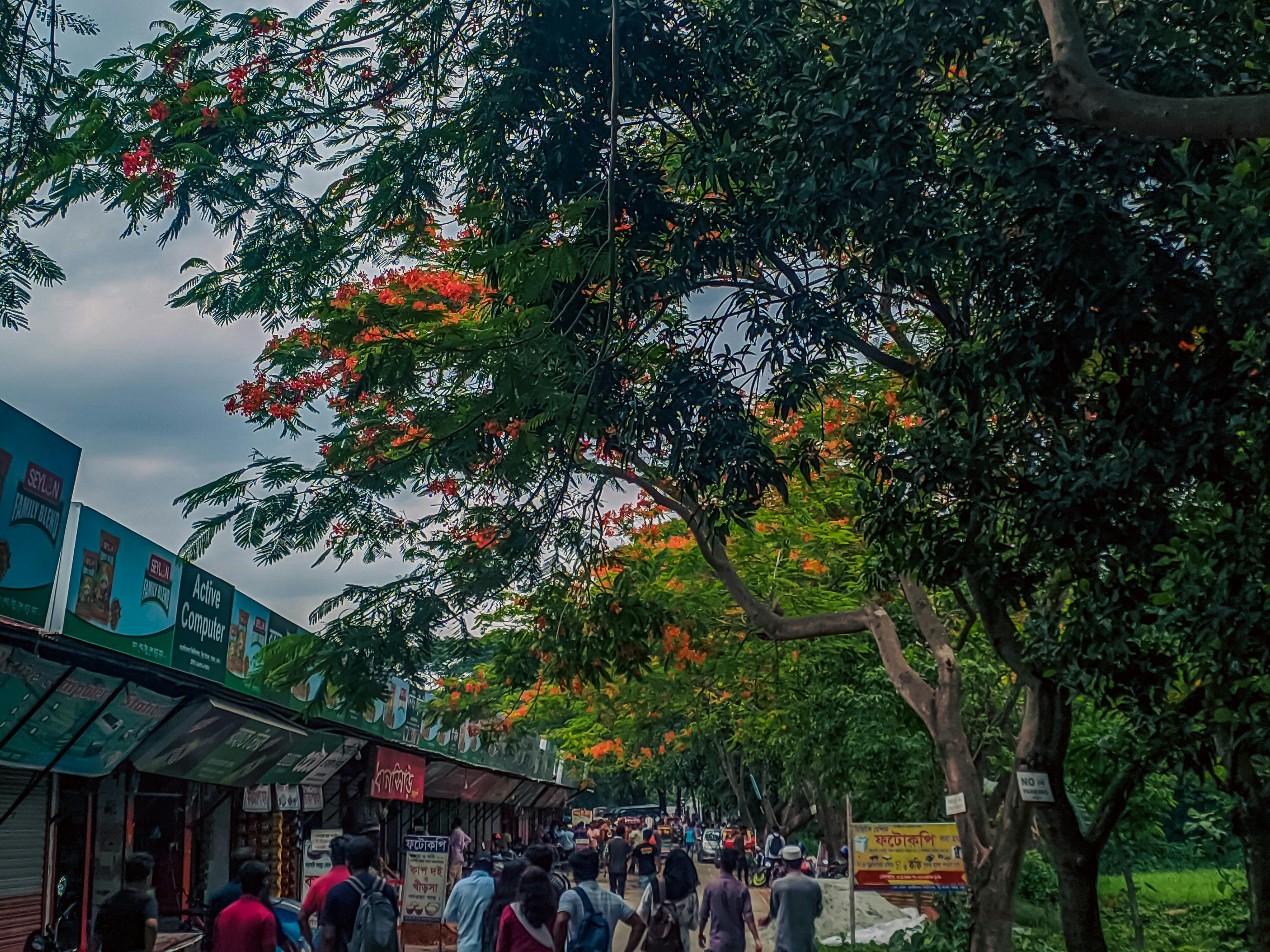 Vaskor Dhrubo - 写真