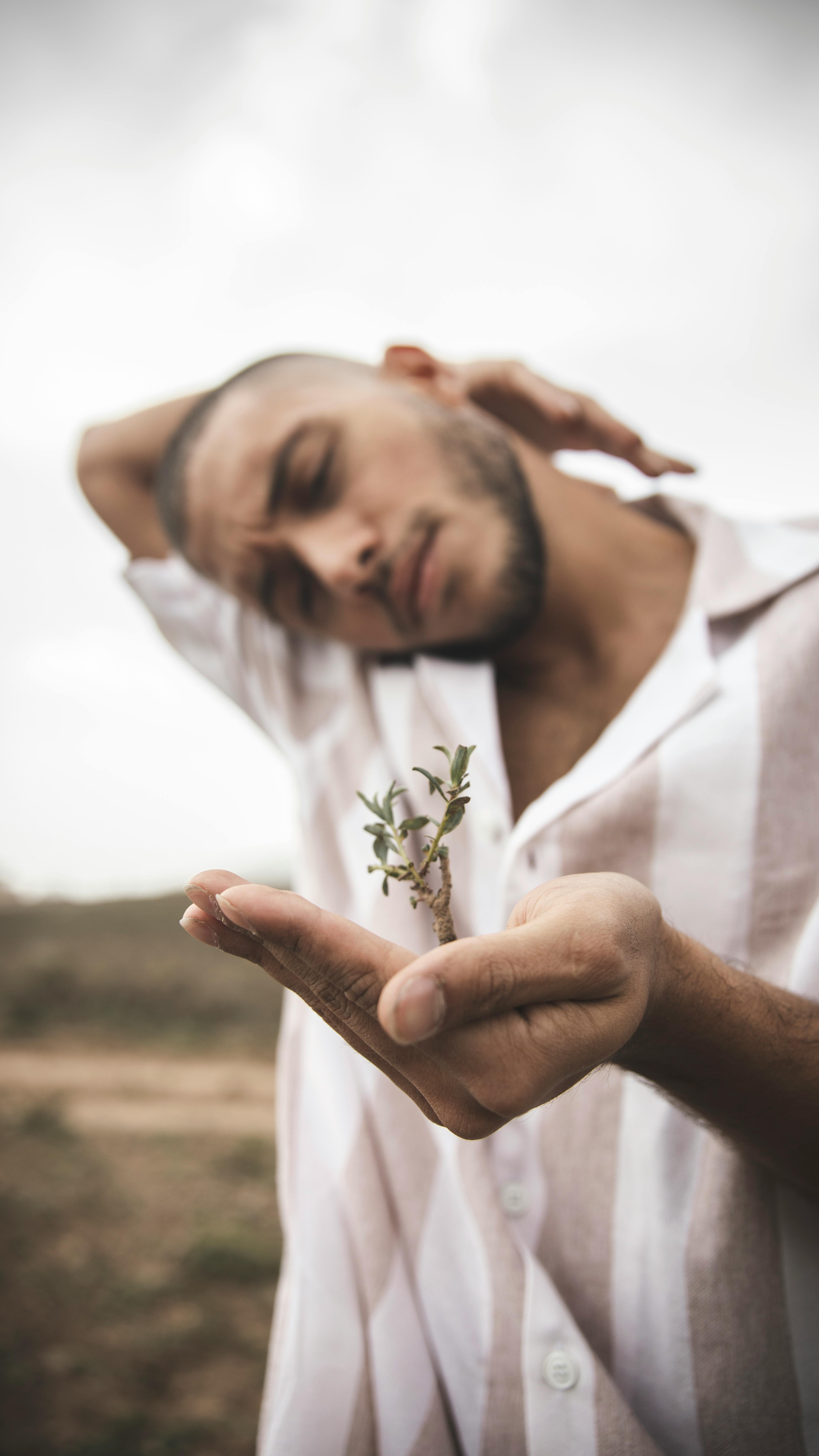 Ofis Masasi Area Plant Man Trans Photos, Download Free Ofis Masasi Area ...