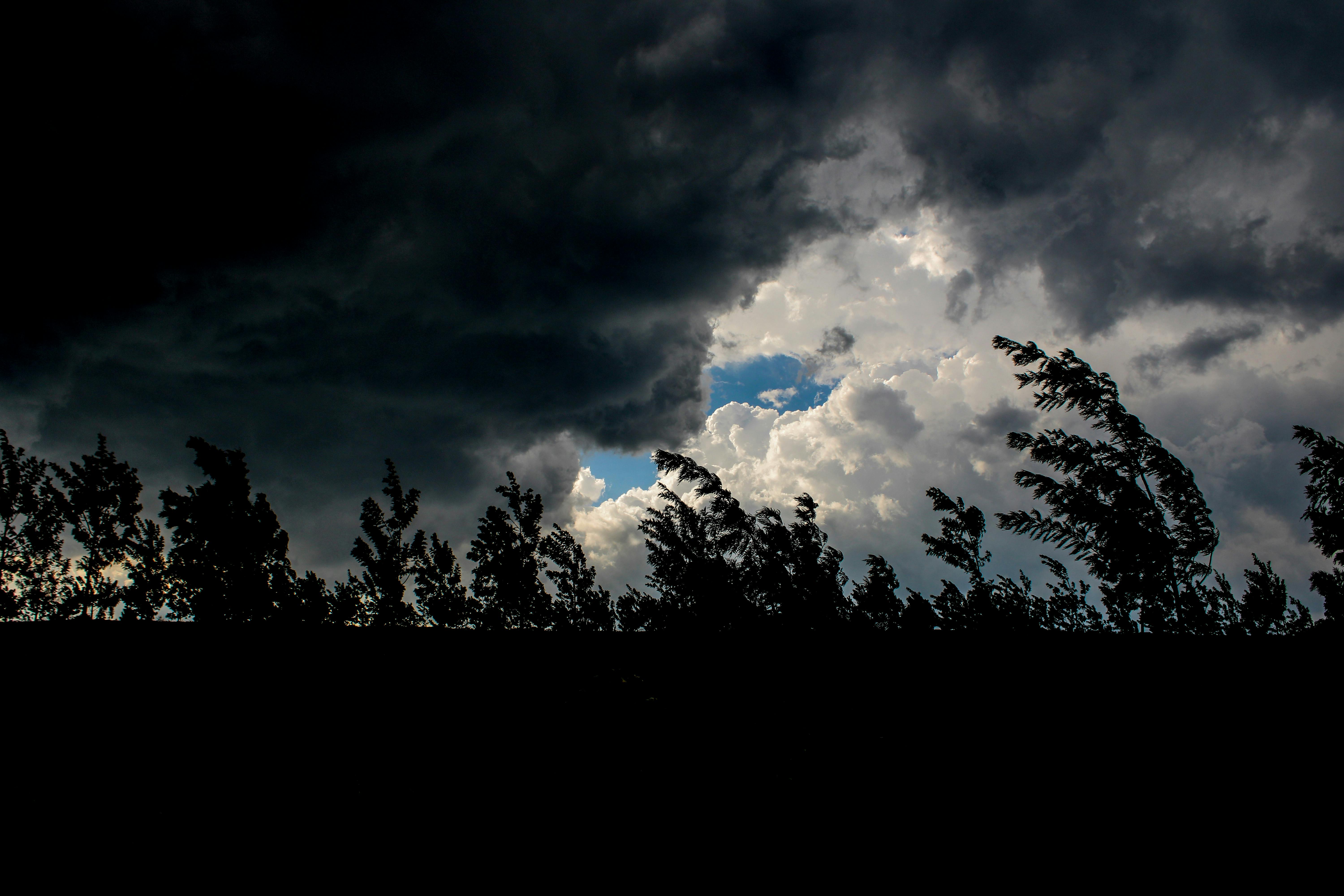 David Serge - Fotografía