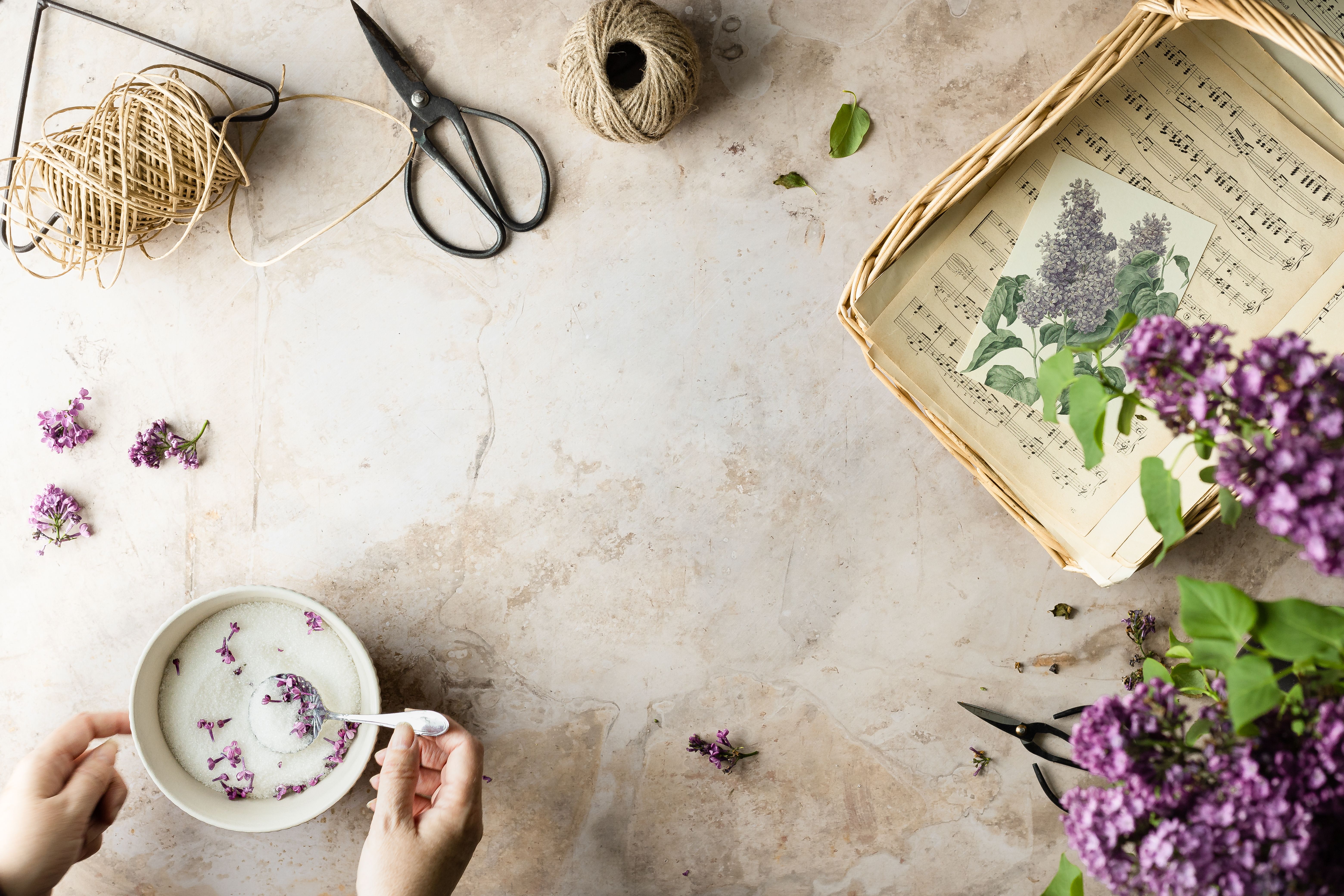 Purple Flwers and Arts and Crafts Materials · Free Stock Photo