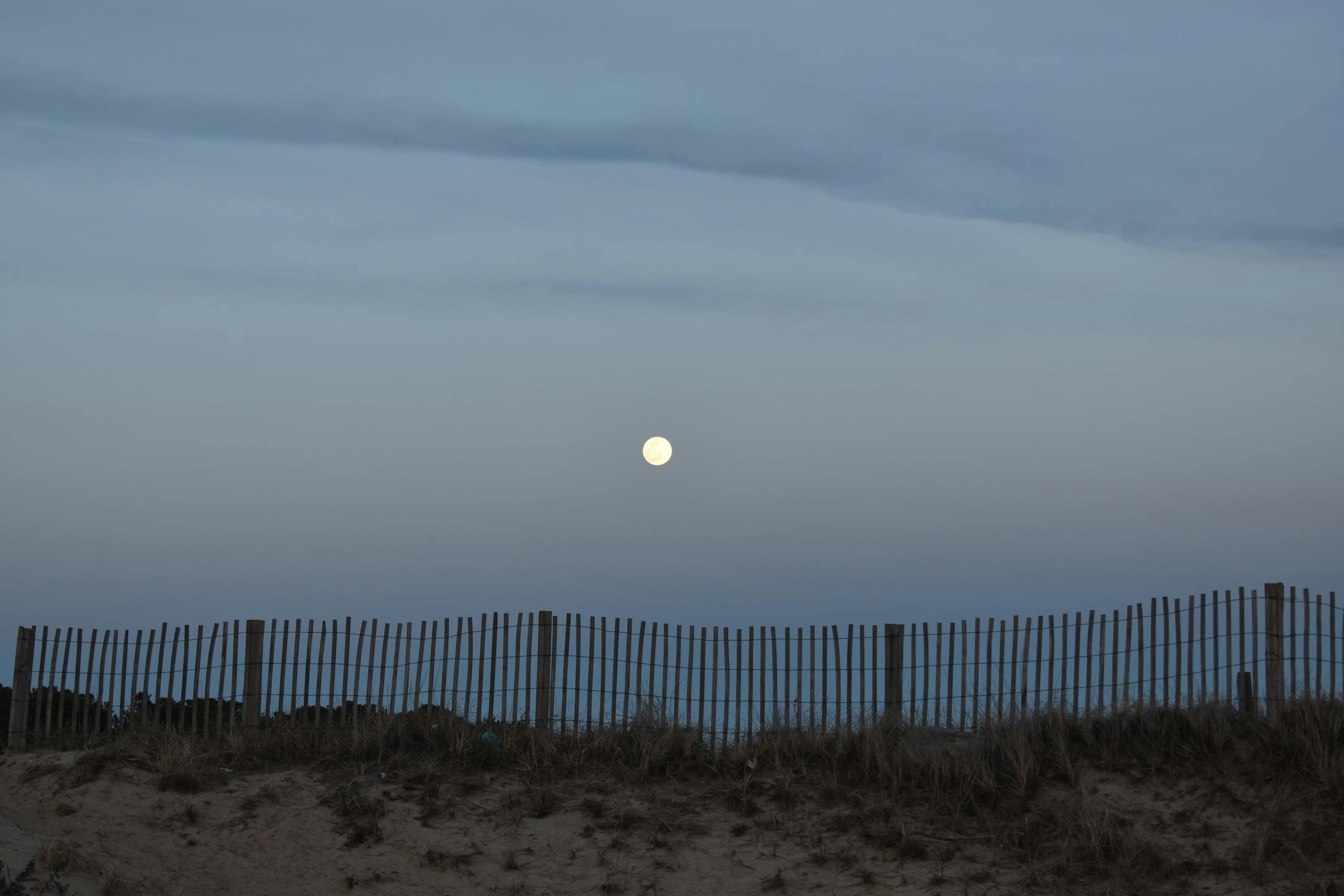 Moon on the Sky Above a Fence · Free Stock Photo