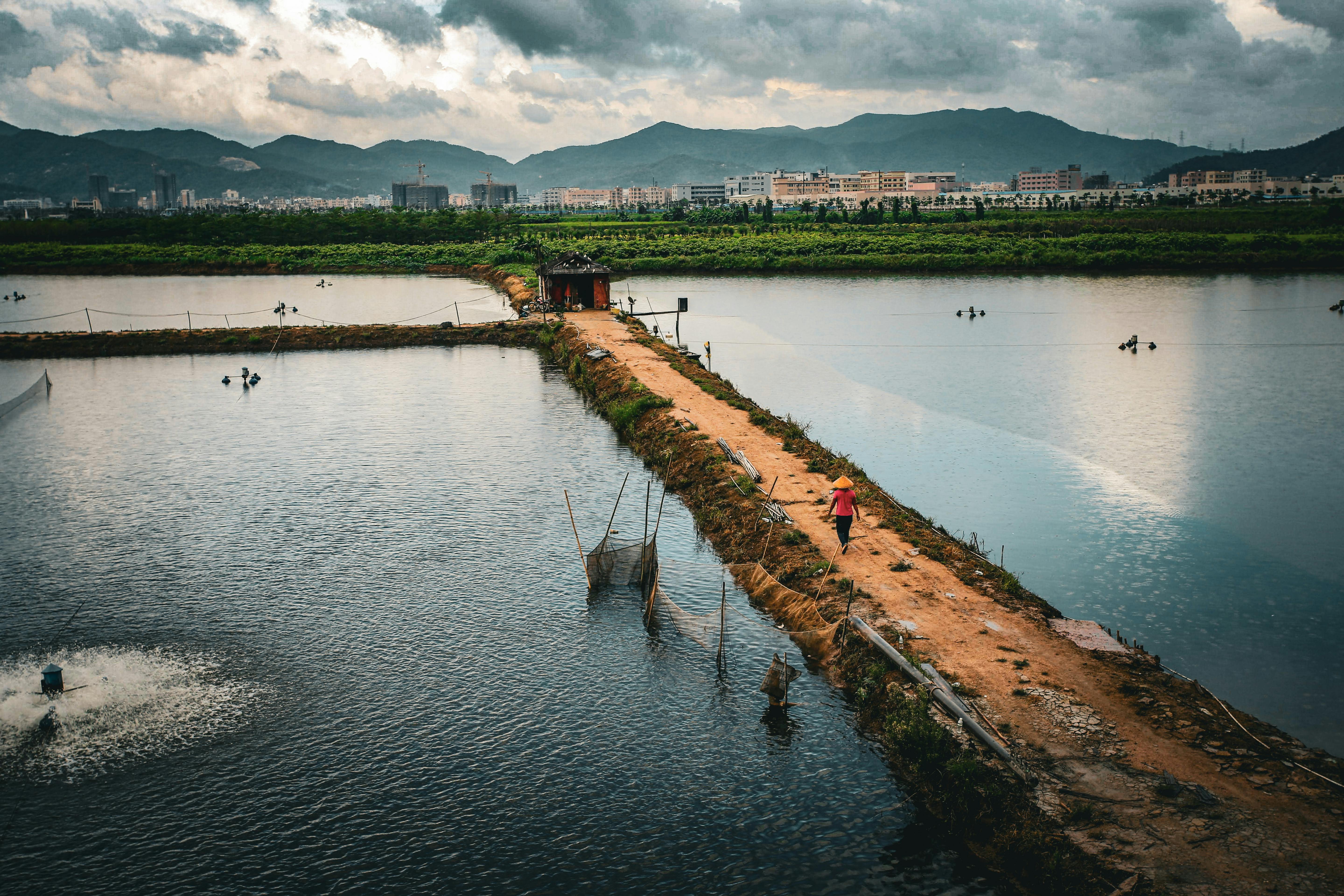 Fishing Pools in Countryside · Free Stock Photo
