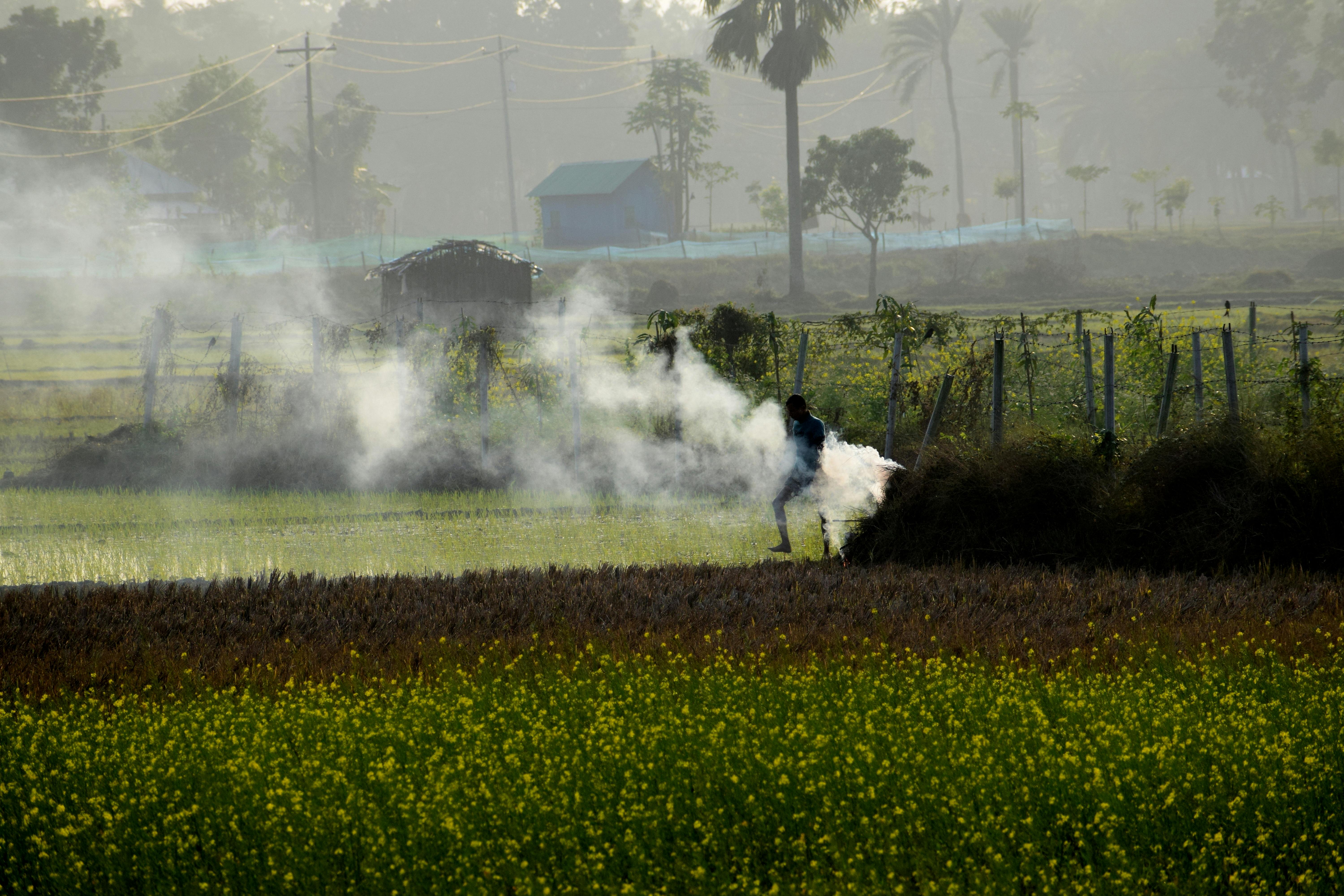 Man Walking Through the Smoke in a Field · Free Stock Photo