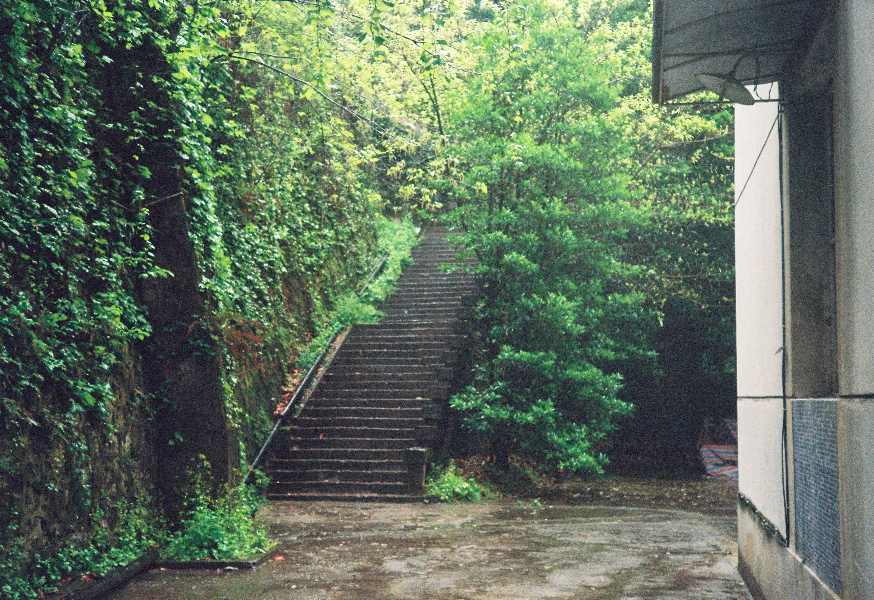 White Concrete Stairs with Wooden Steps · Free Stock Photo