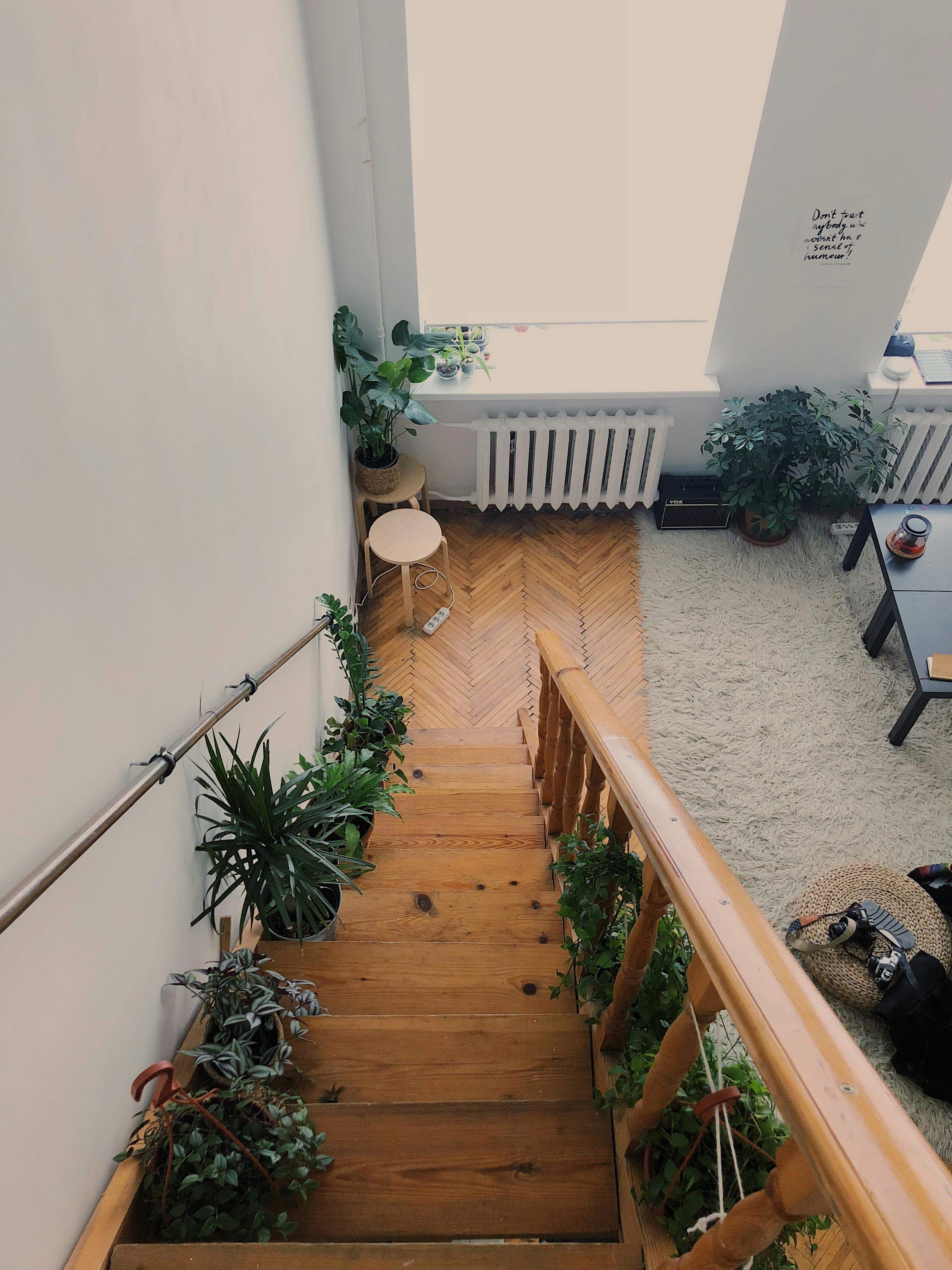 89,015+ Best Free Home stairs Stock Photos & Images · 100% Royalty-Free ...