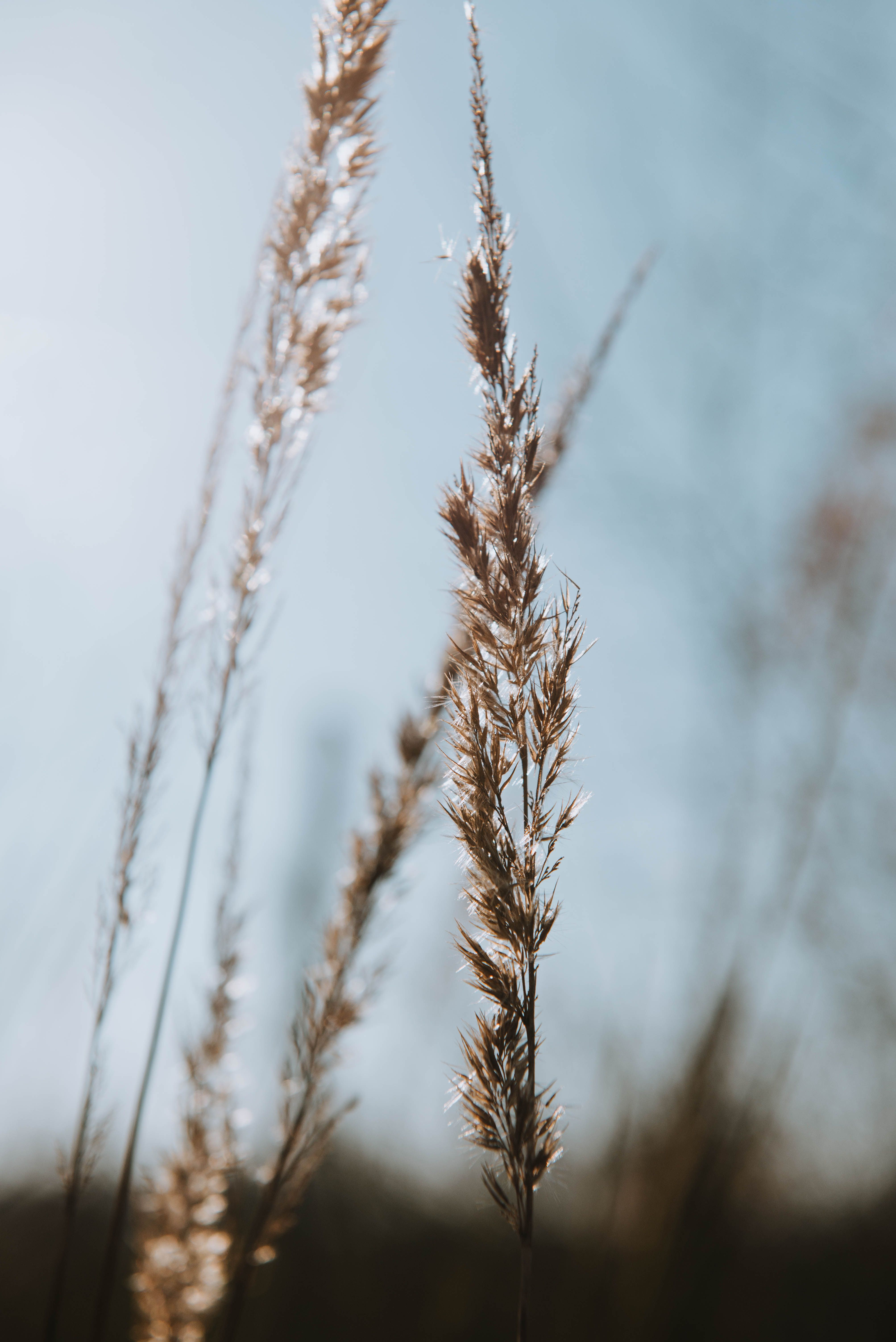 Shallow Focus Photography of Rocks · Free Stock Photo