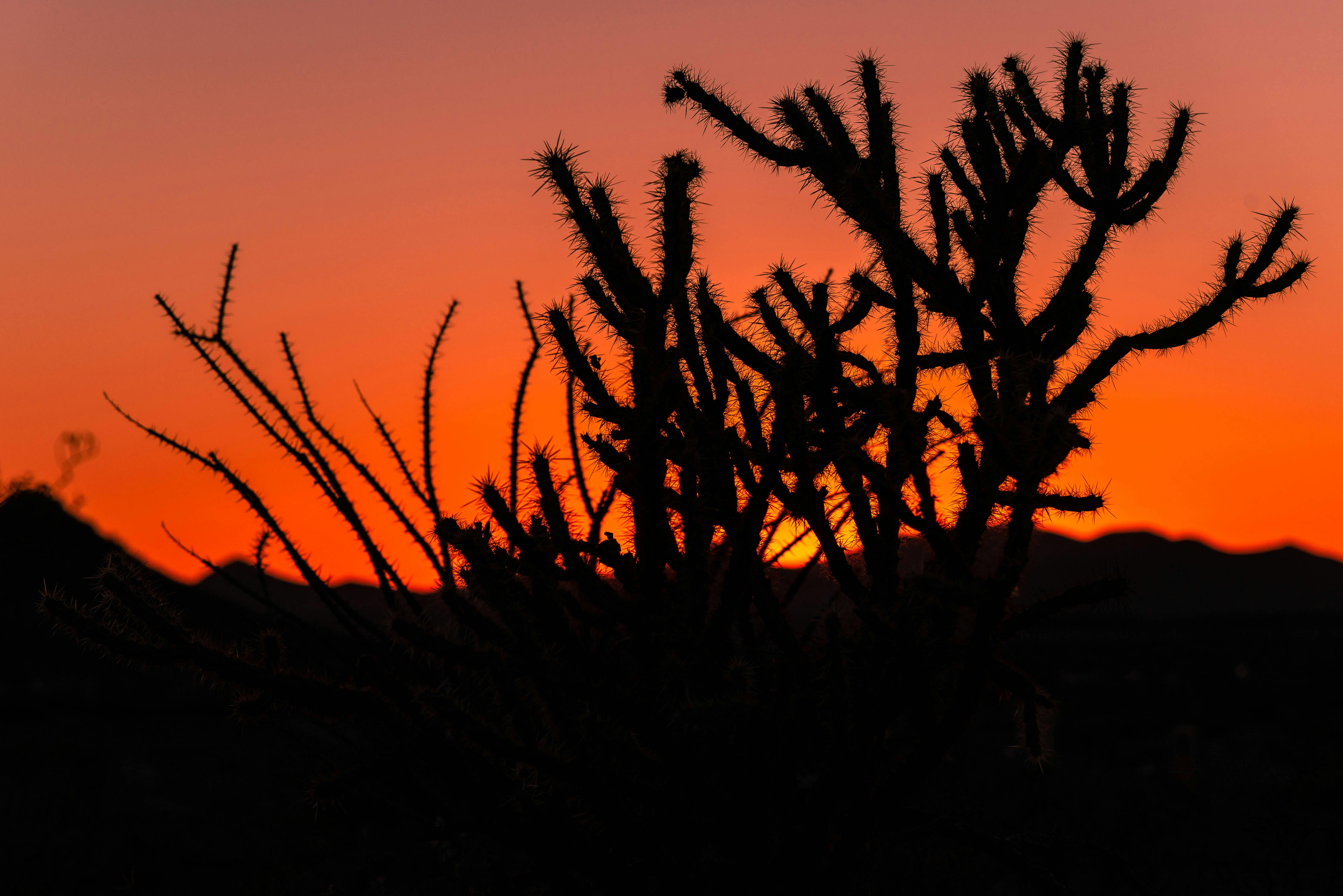 Kostenloses Foto zum Thema: beengter raum, beschränkt, feuerwehrmann
