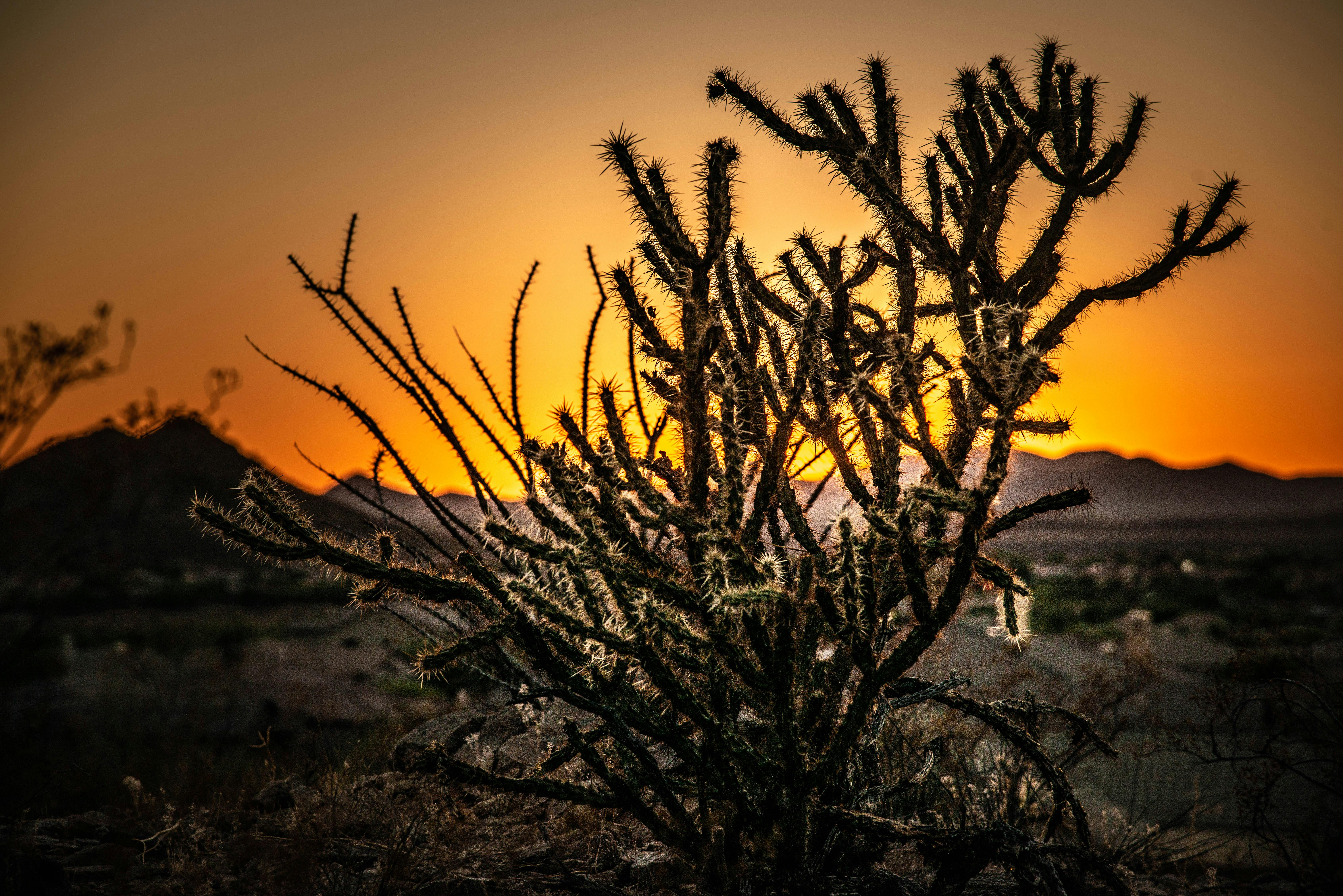 Kostenloses Foto zum Thema: beengter raum, beschränkt, feuerwehrmann