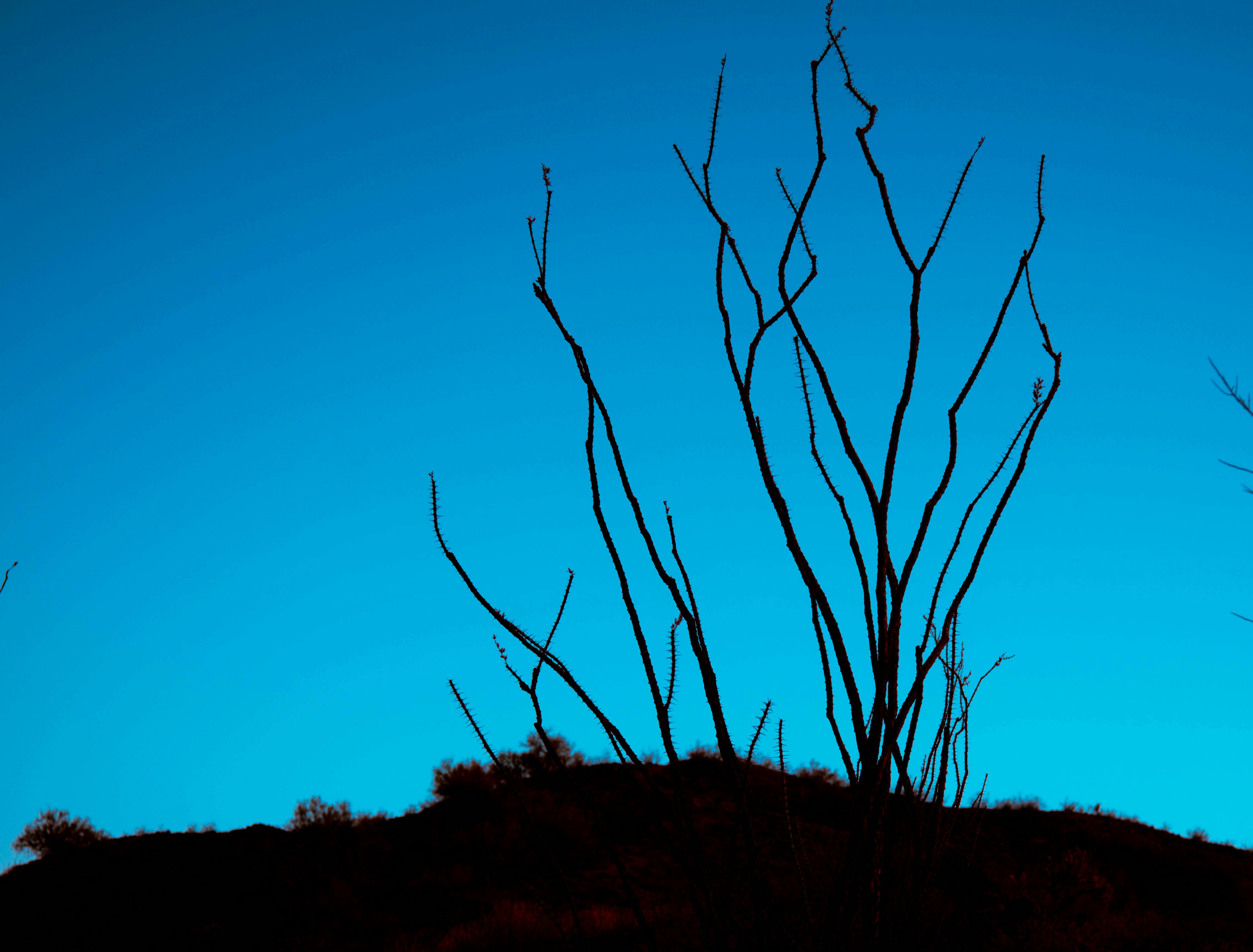 Free stock photo of desert, mountain, path