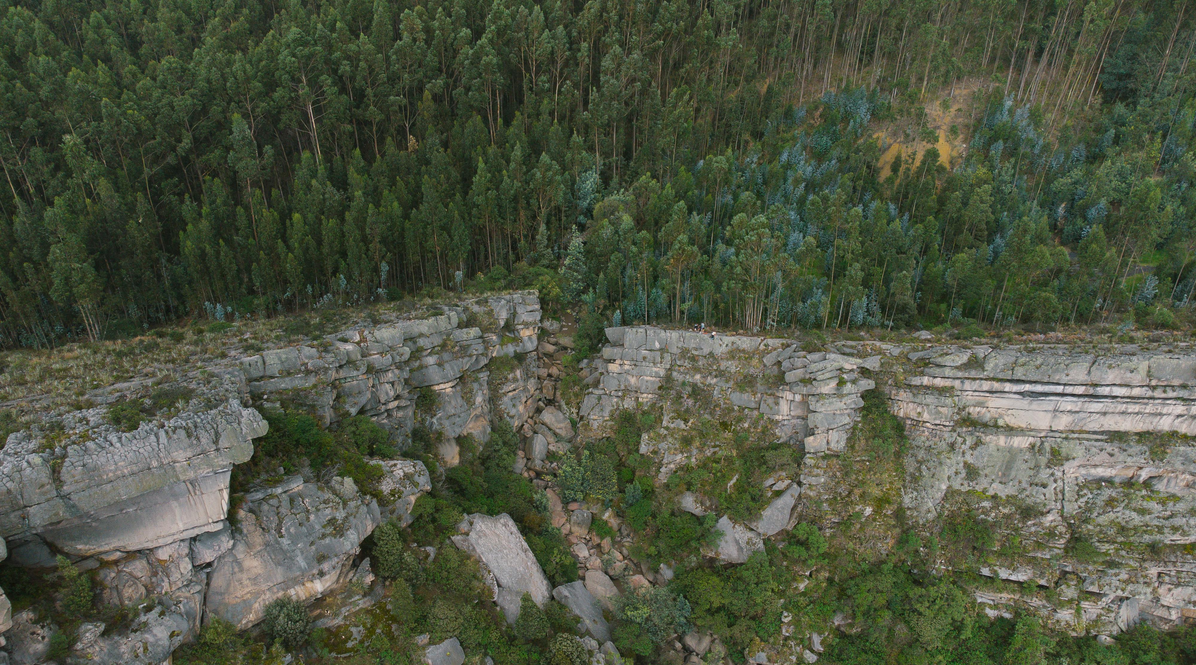 Aerial View of Trees on a Cliff · Free Stock Photo