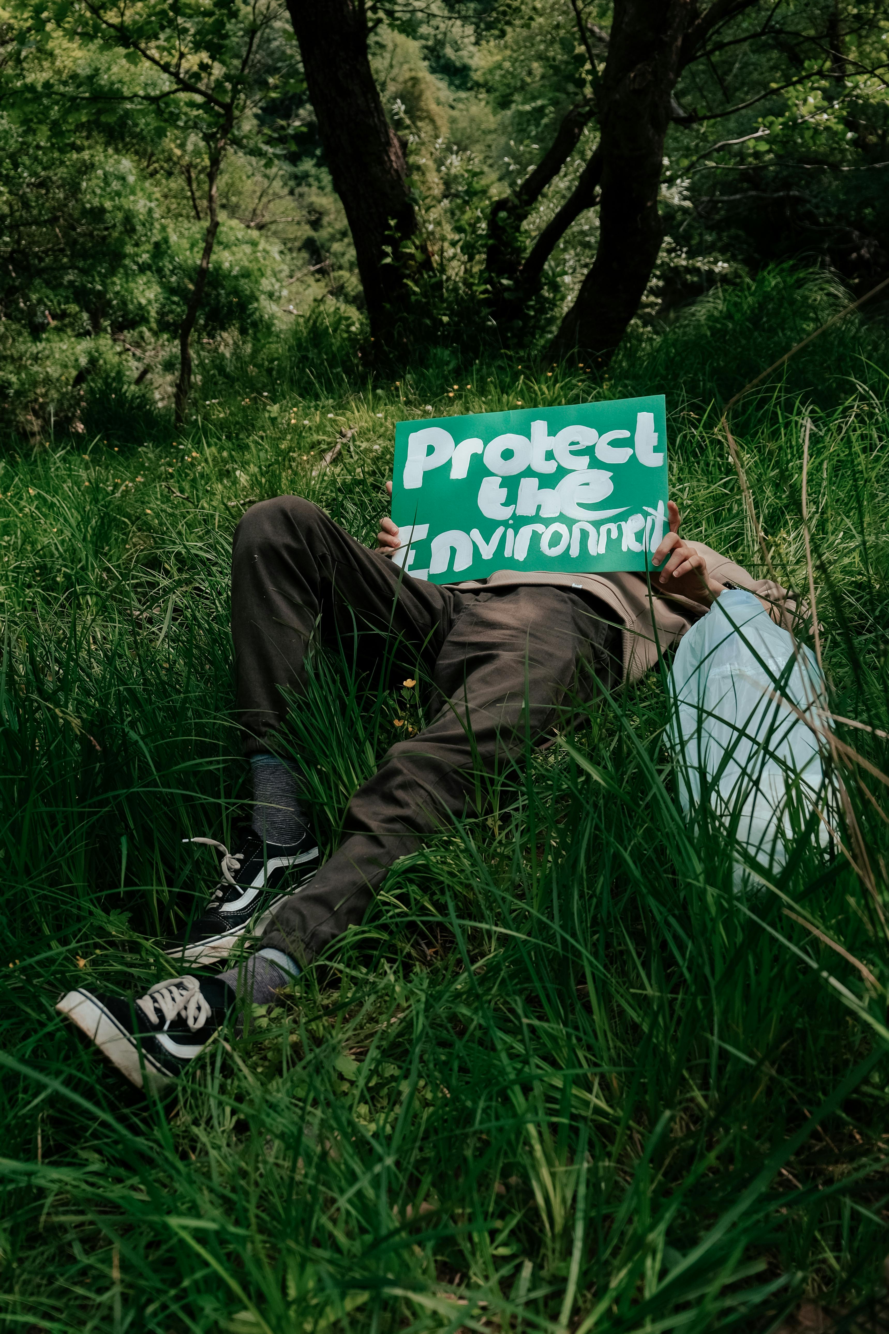 Forest Banner Photos, Download The BEST Free Forest Banner Stock Photos ...