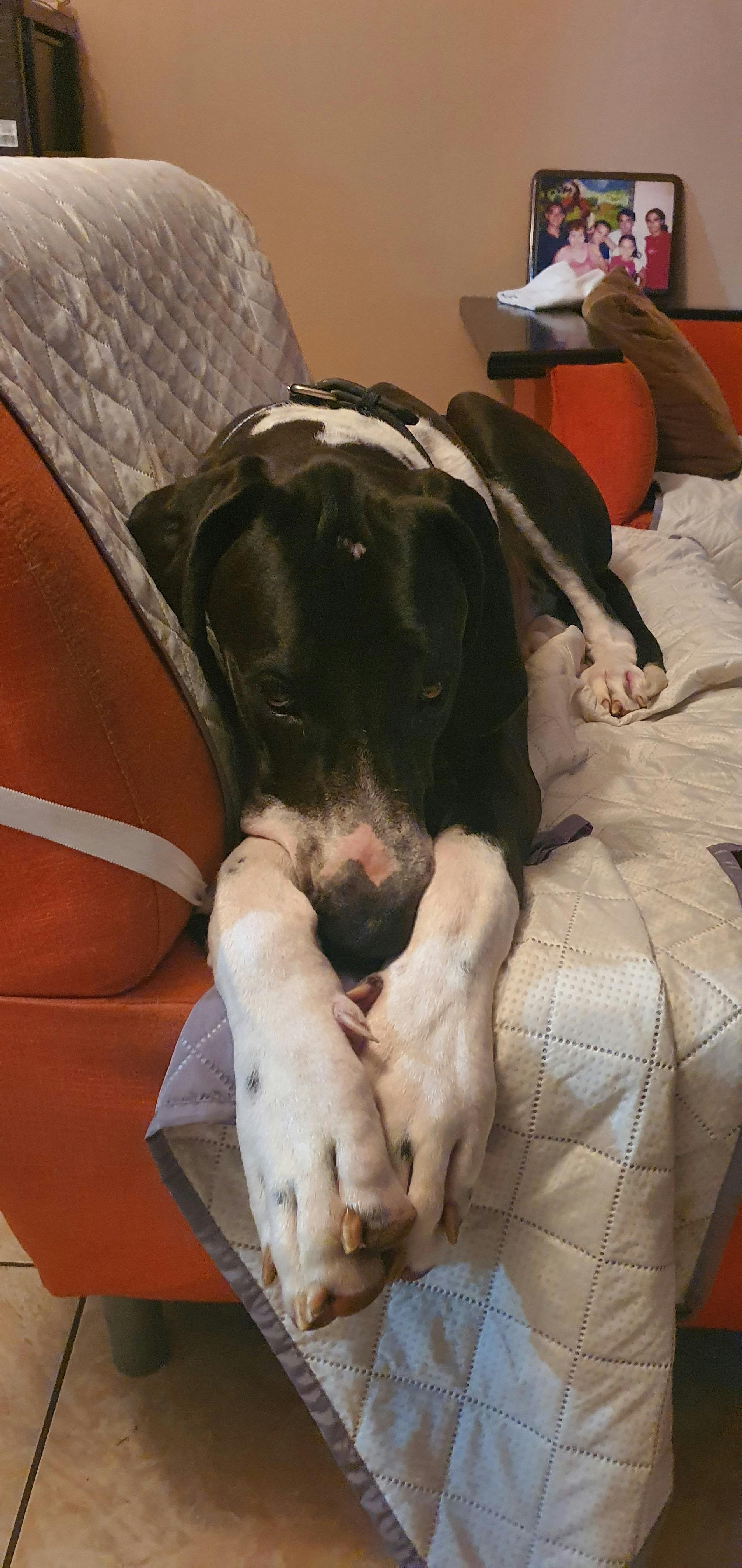 William Ibarra Sequeira - Photography