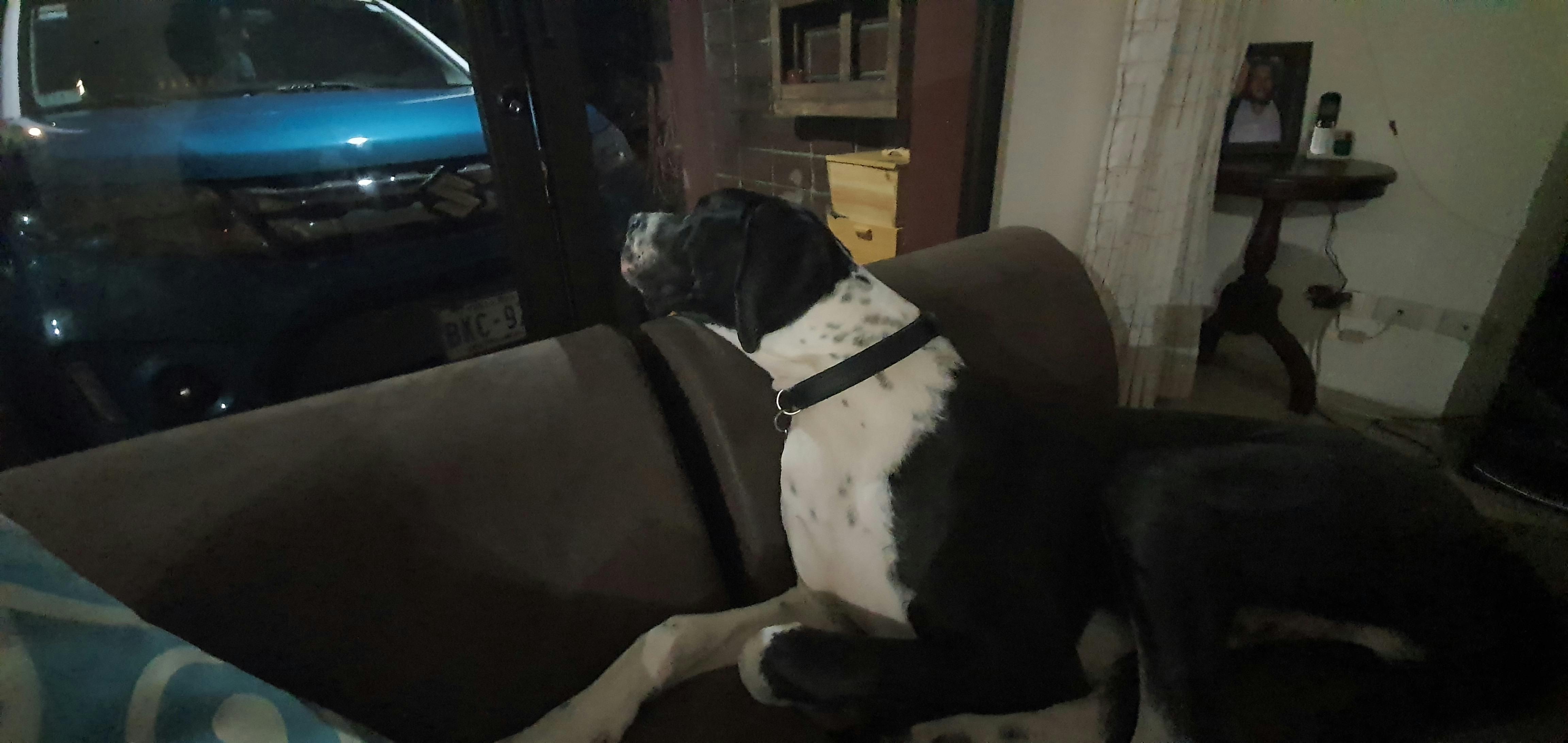 William Ibarra Sequeira - 사진