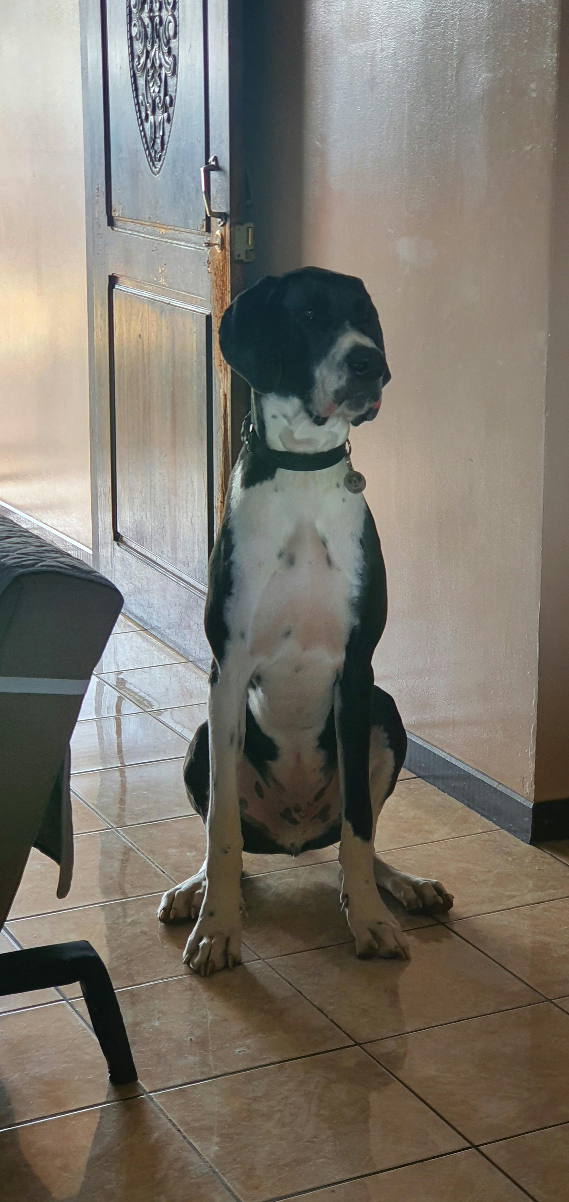 William Ibarra Sequeira - Photography