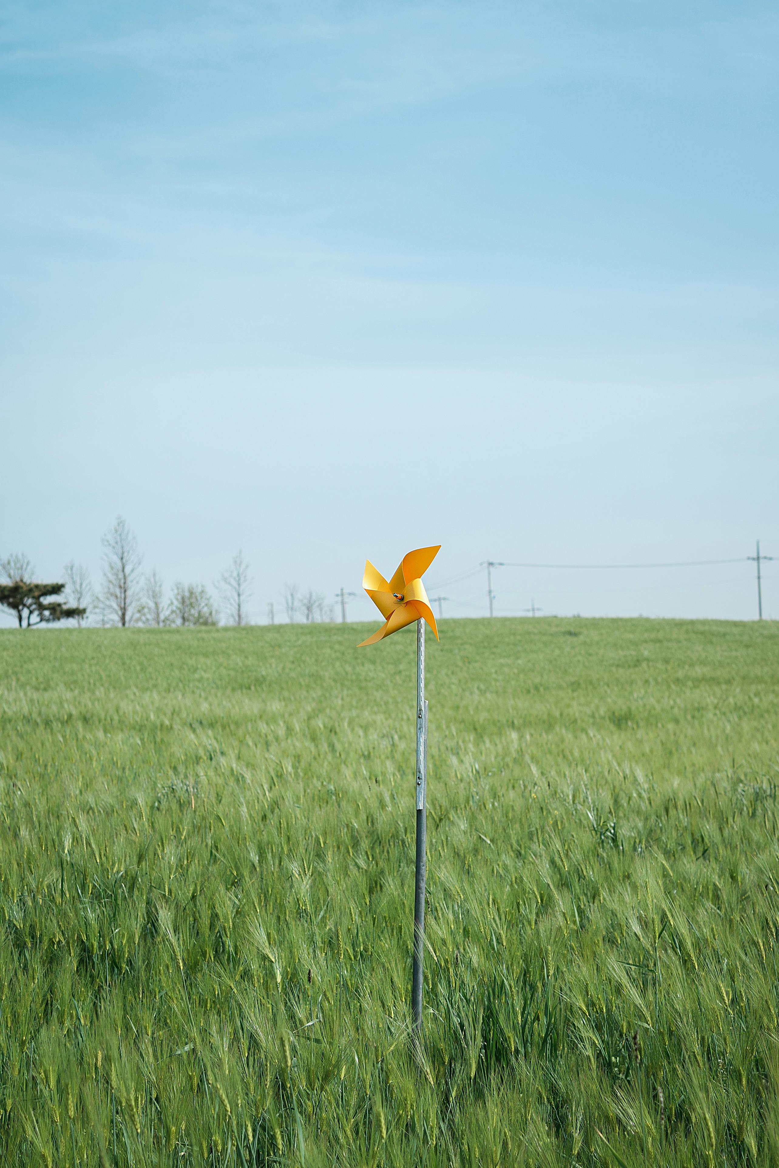 A Yellow Pinwheel in the Meadow · Free Stock Photo