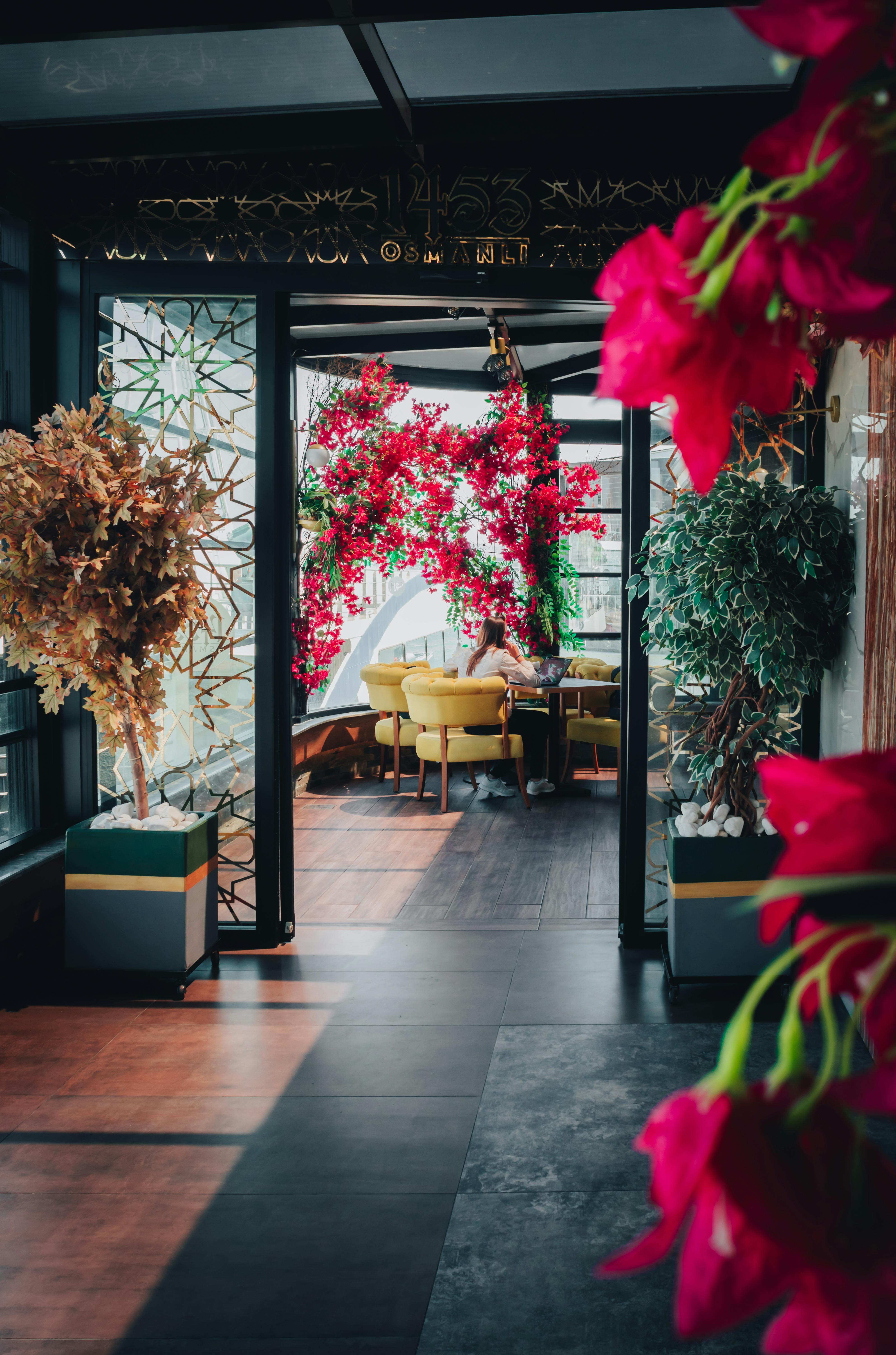 Ambiance Photos, Download The BEST Free Ambiance Stock Photos & HD Images