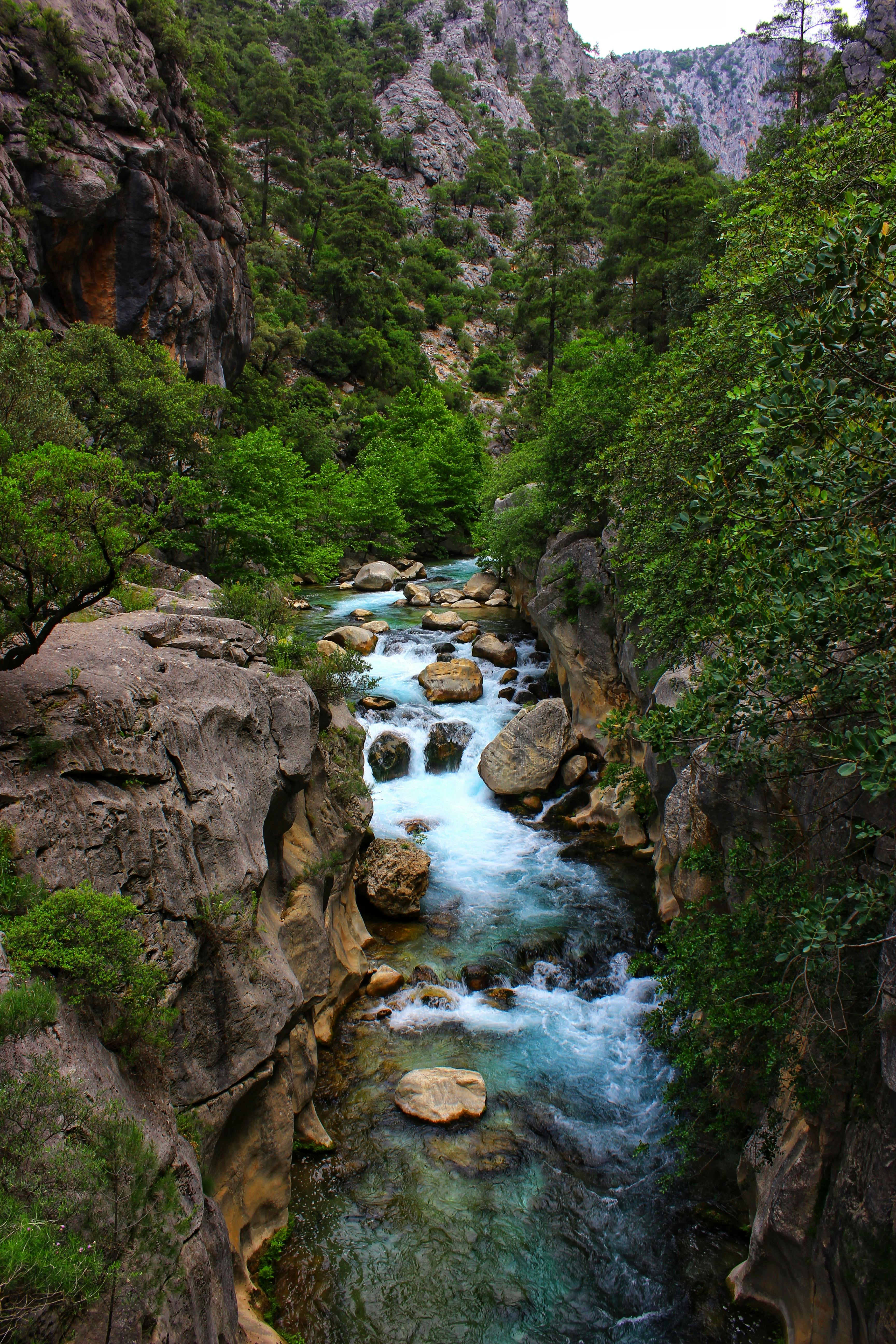 Strong Current of Water Flowing on the Stream · Free Stock Photo