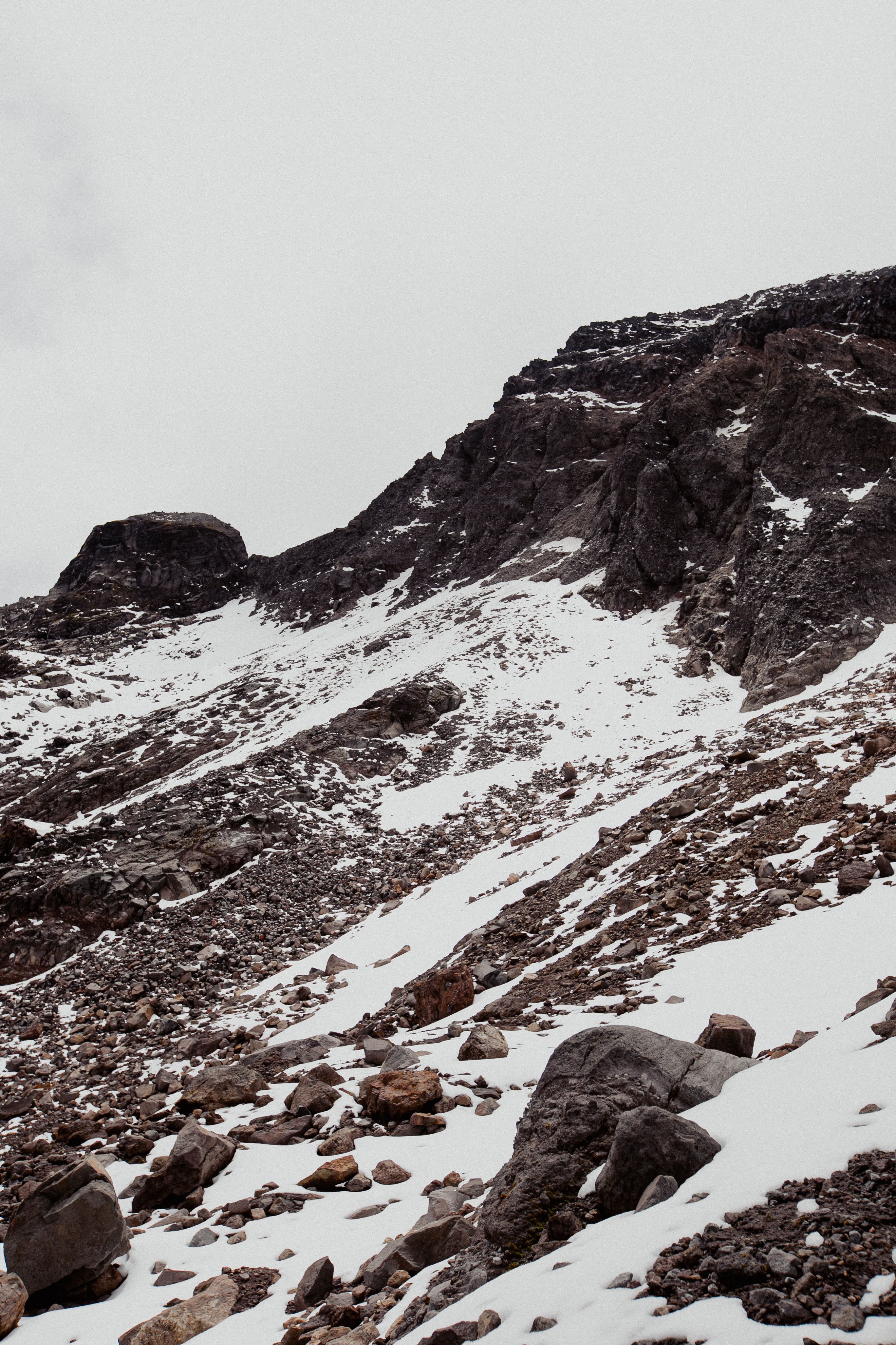 Snowy Mountain Wolves Photos, Download Free Snowy Mountain Wolves Stock ...