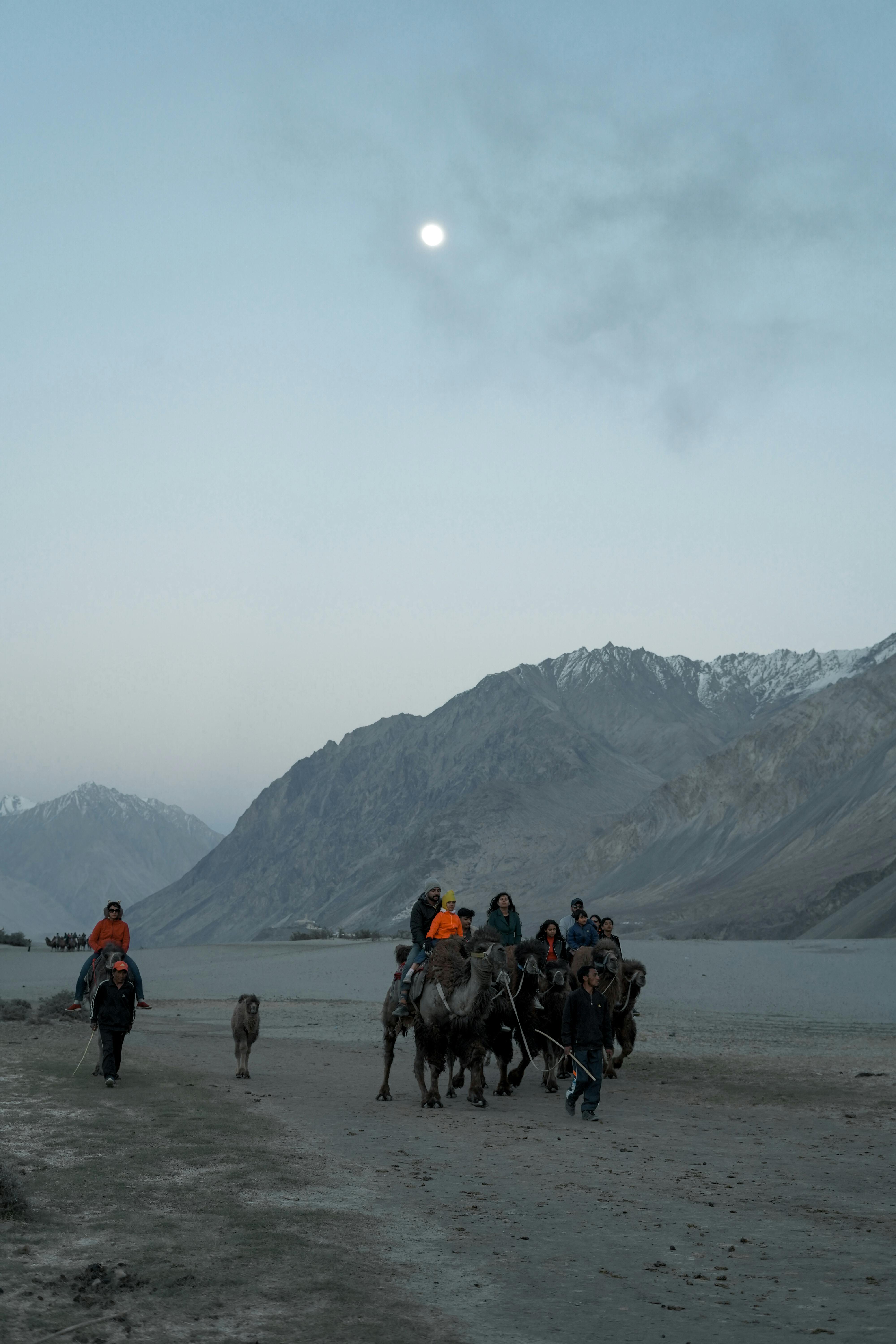 Photo of Person Riding a Horse · Free Stock Photo