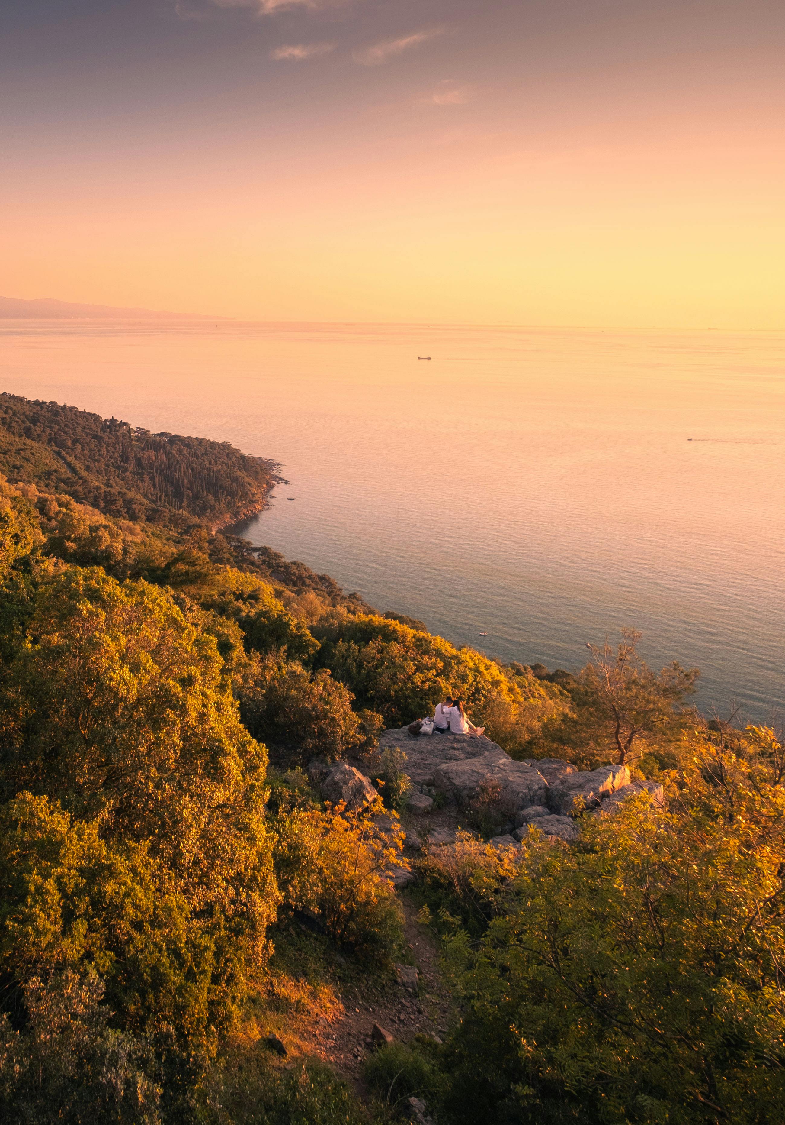 Tree on Top Of A Mountain · Free Stock Photo