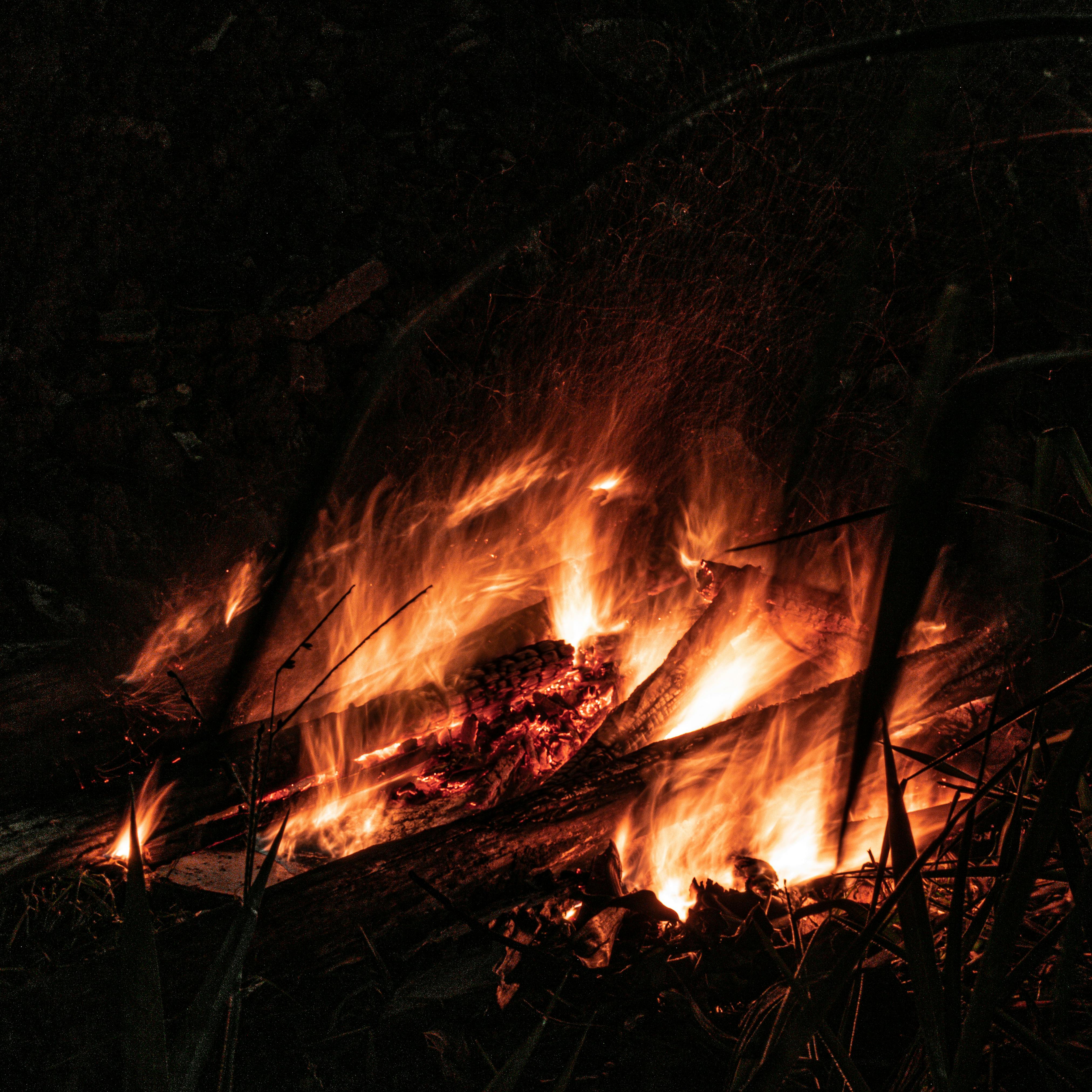 Photo of a Fire · Free Stock Photo