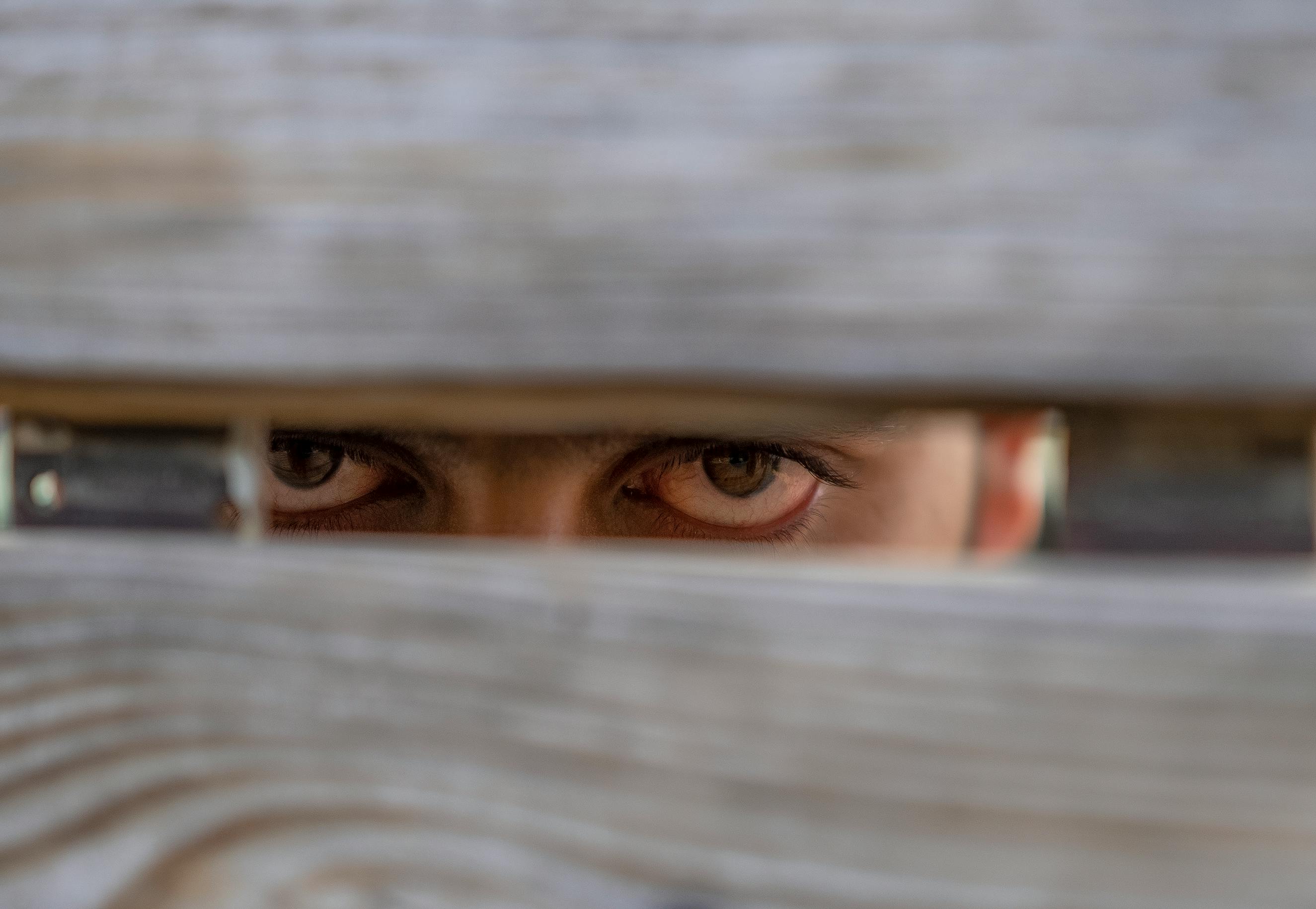 A Person Looking Out the Window · Free Stock Photo