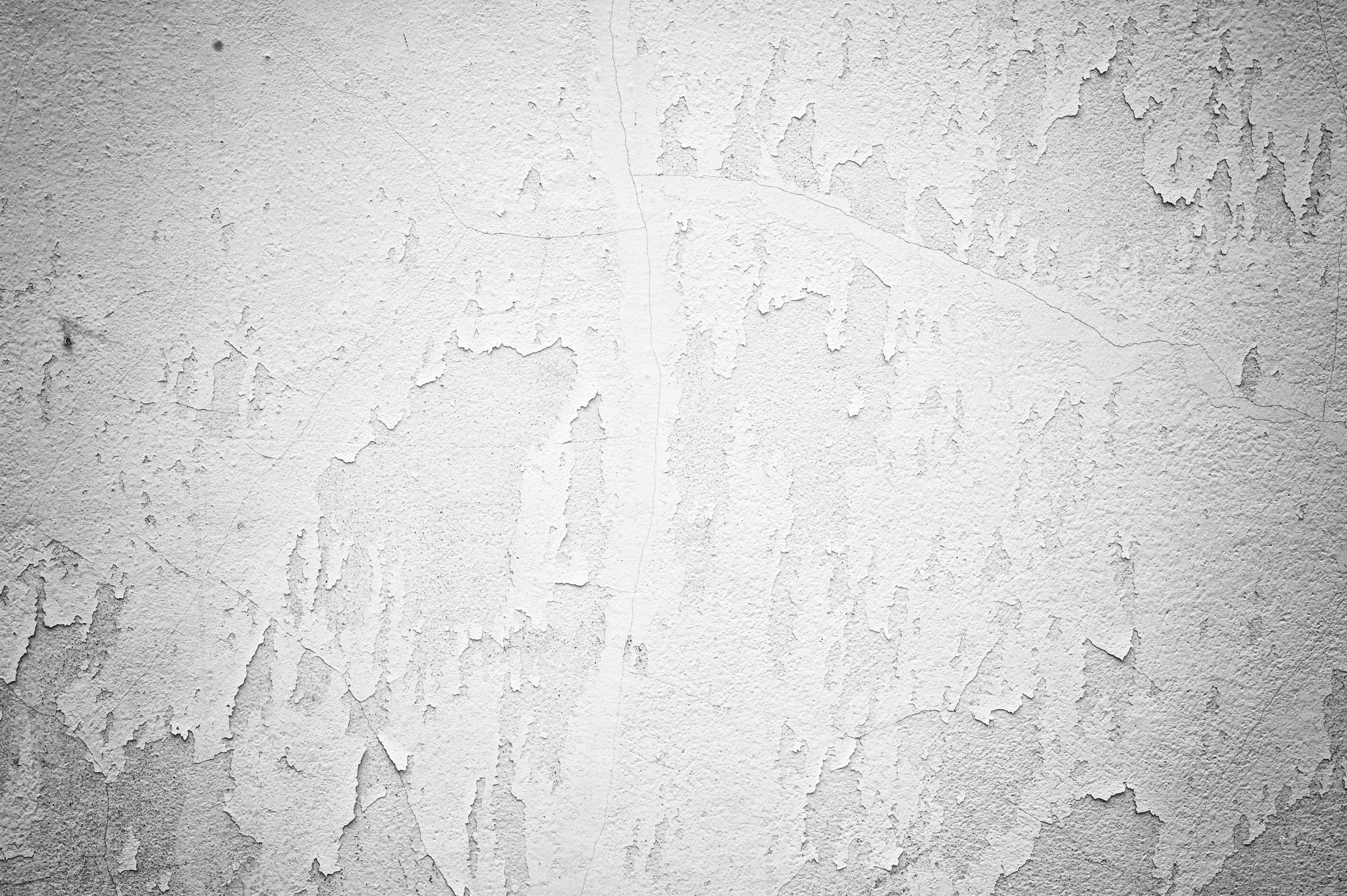 Free stock photo of advertisement, advertising, background