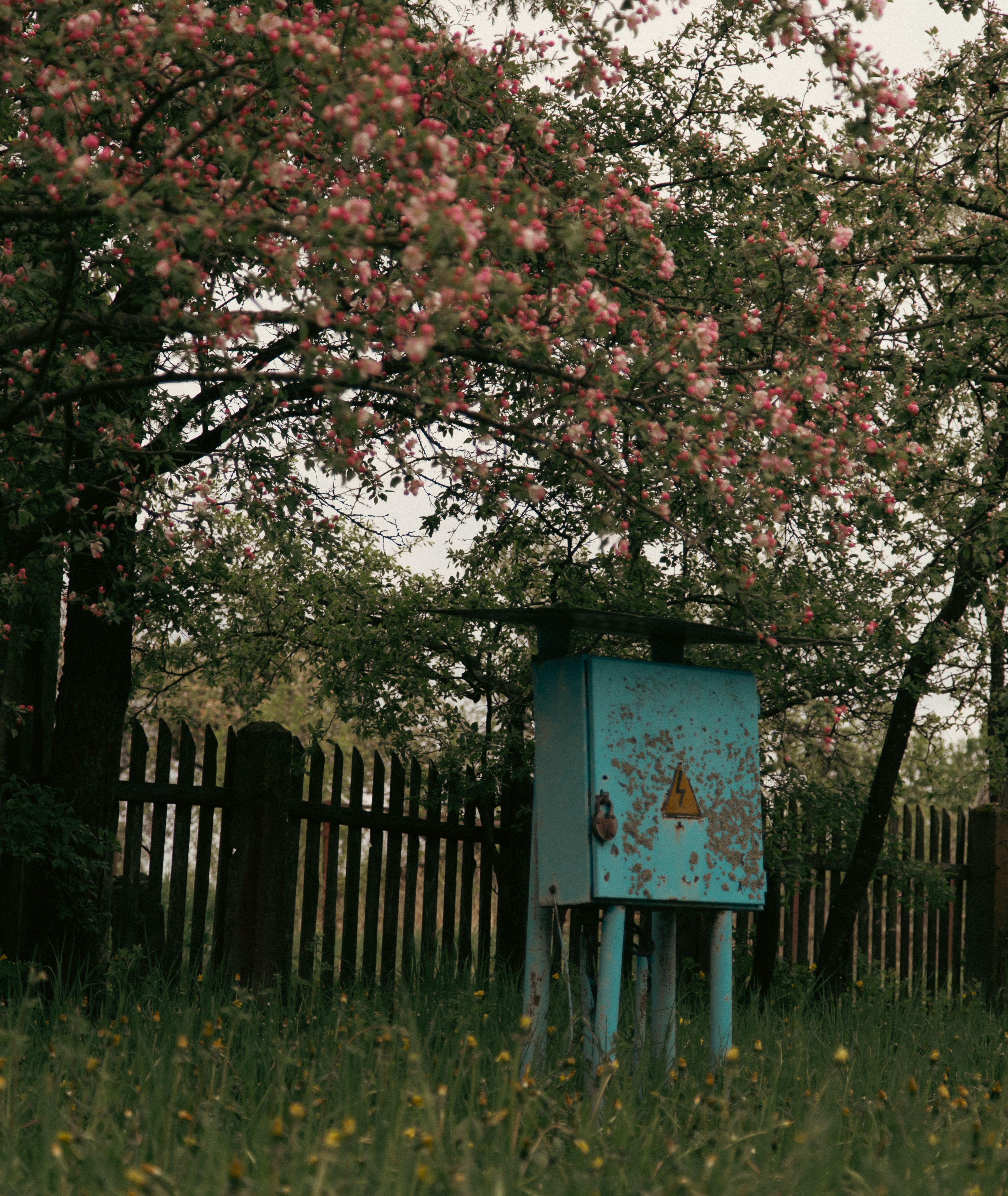 Electric Box in the Garden · Free Stock Photo