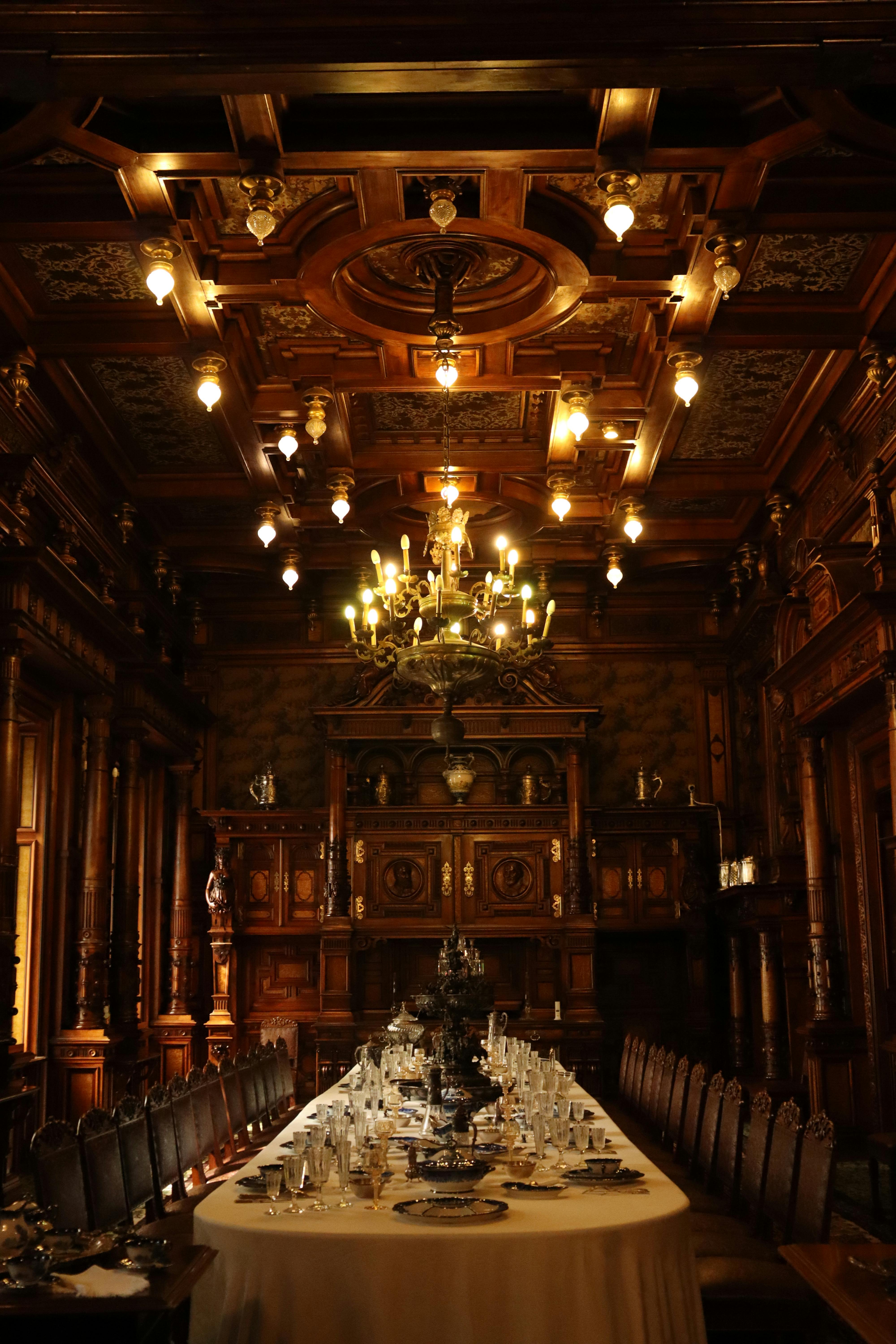 Andra Olteanu - 摄影