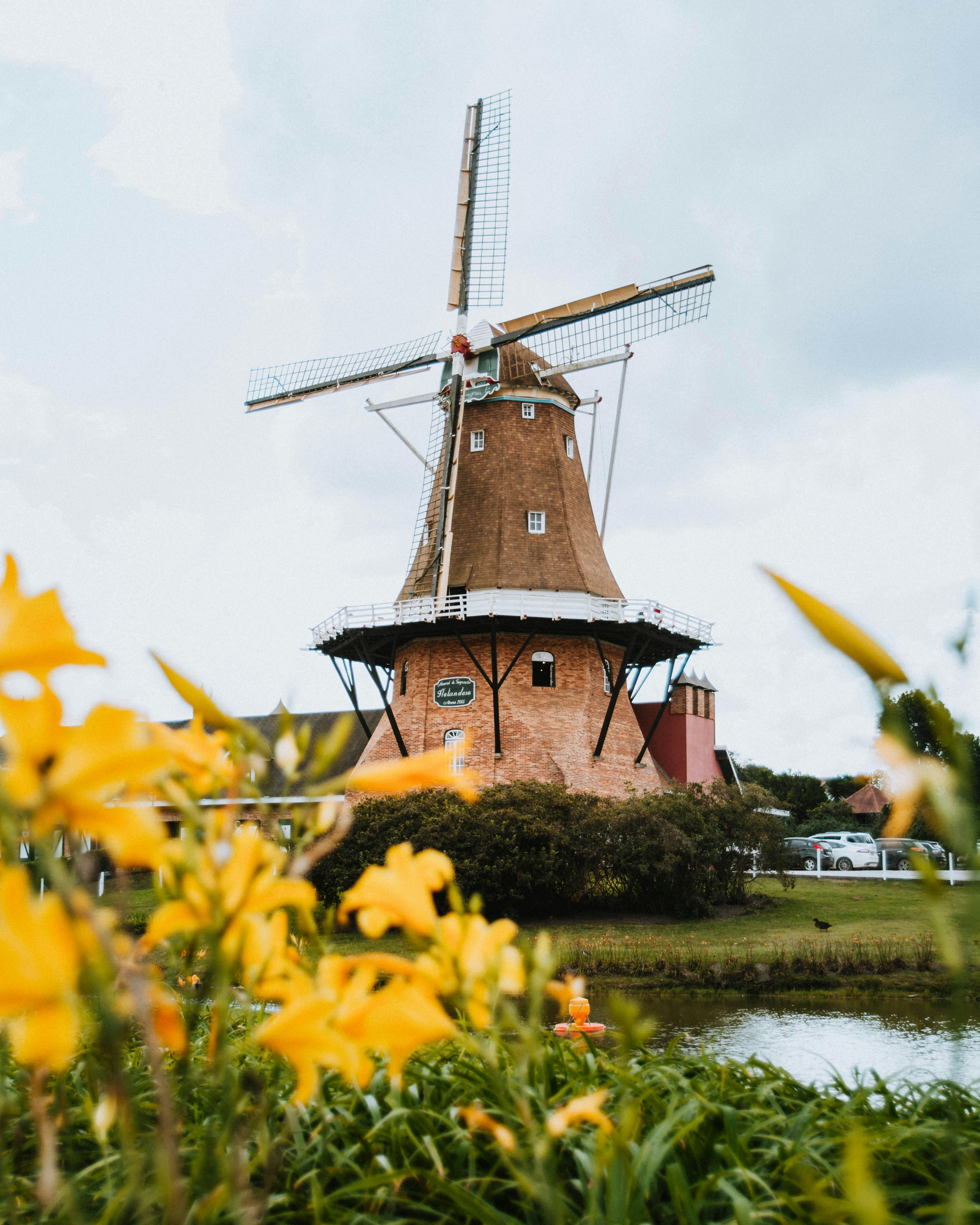 Photo of a Windmill · Free Stock Photo