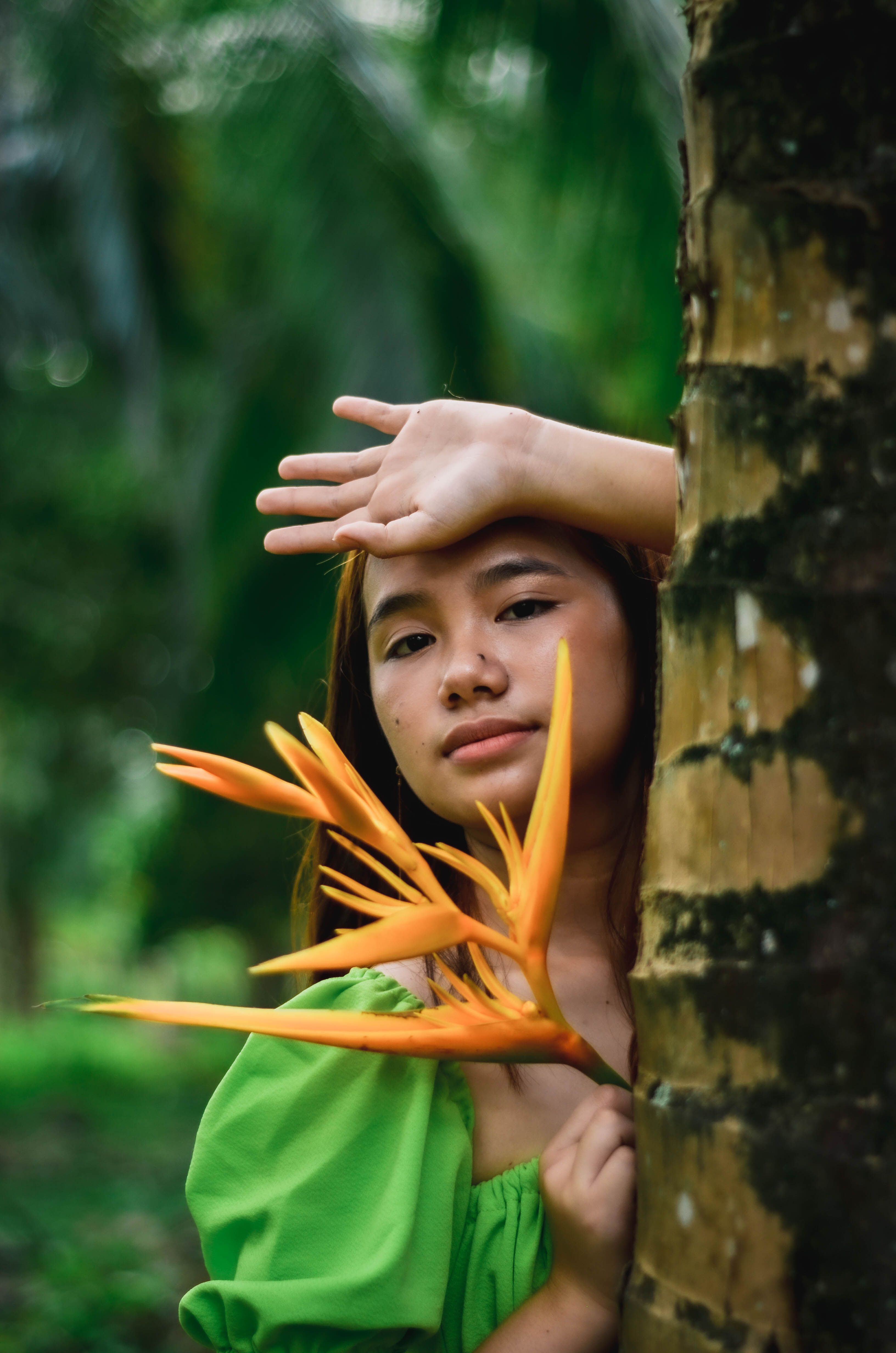 Hand, Tree Portico Photos, Download Free Hand, Tree Portico Stock ...