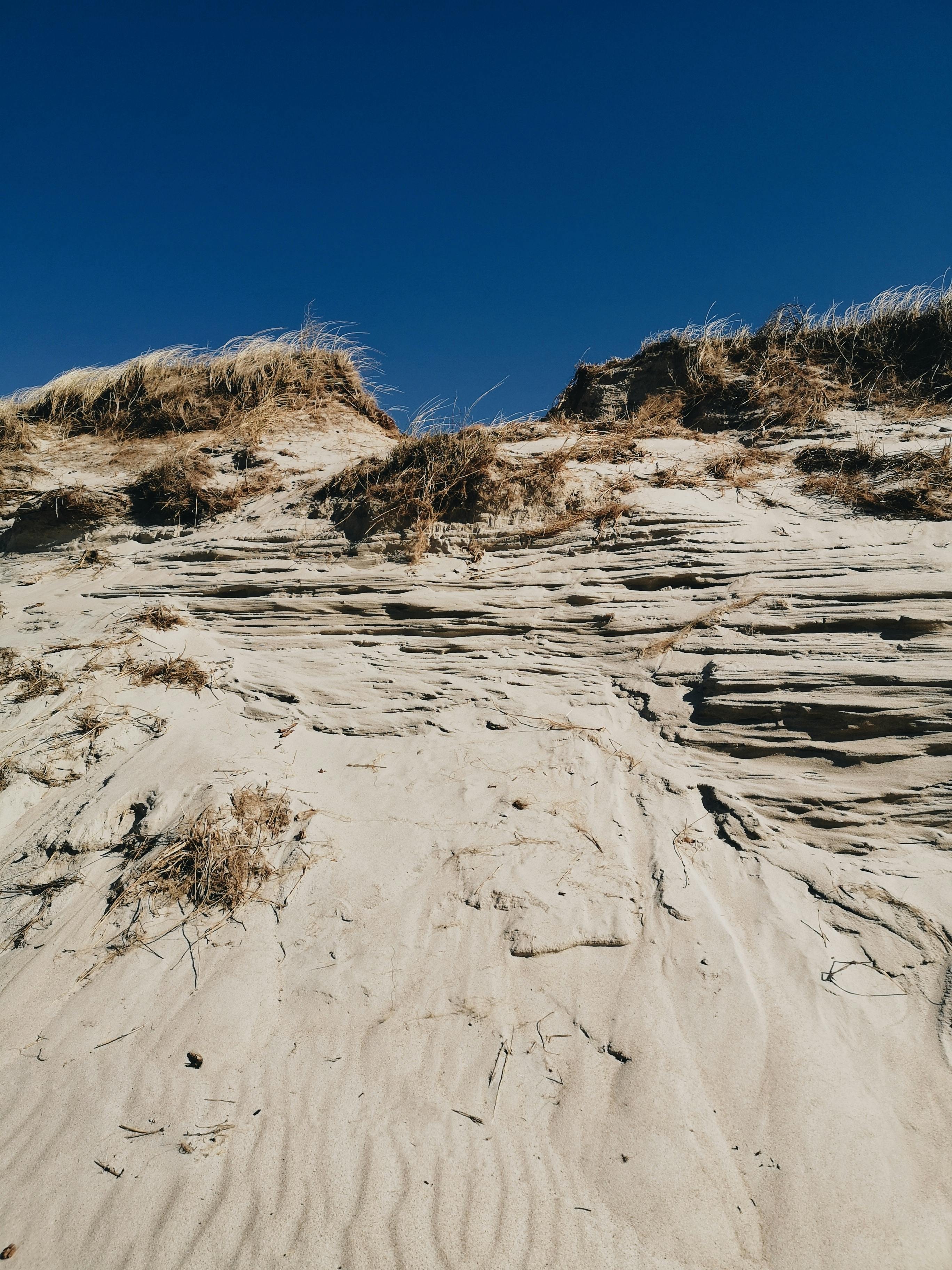 Sand on Dune · Free Stock Photo