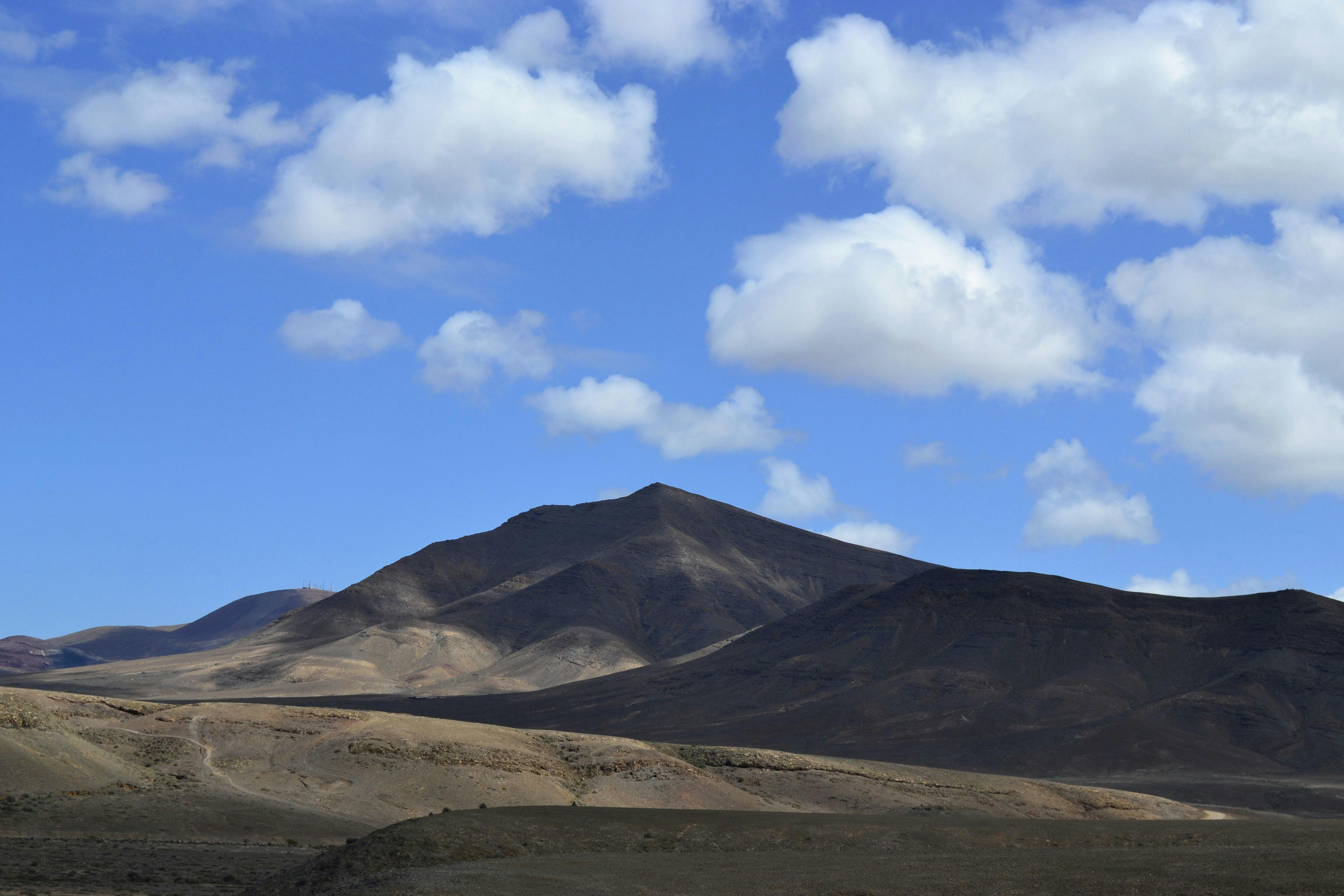 Dried Forest in Valley · Free Stock Photo