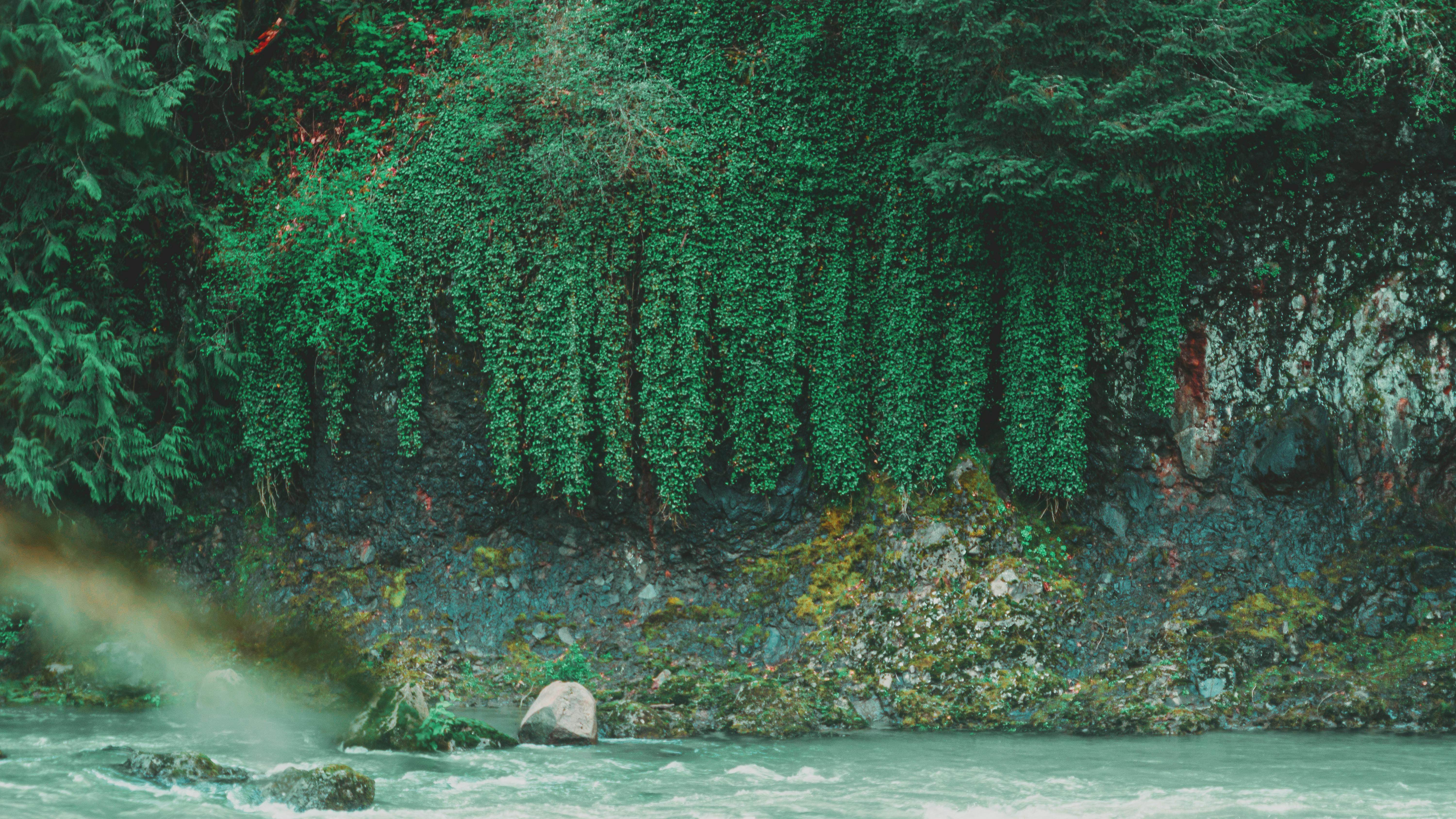 Riverside Trees Photos, Download Free Riverside Trees Stock Photos & HD ...