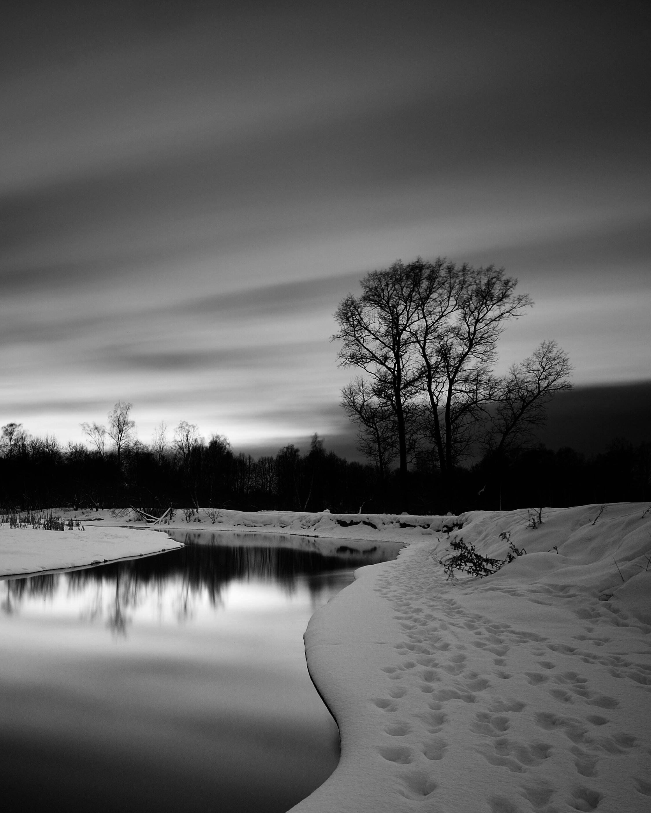Grayscale Photo of a Lake Near Snow Covered Ground · Free Stock Photo