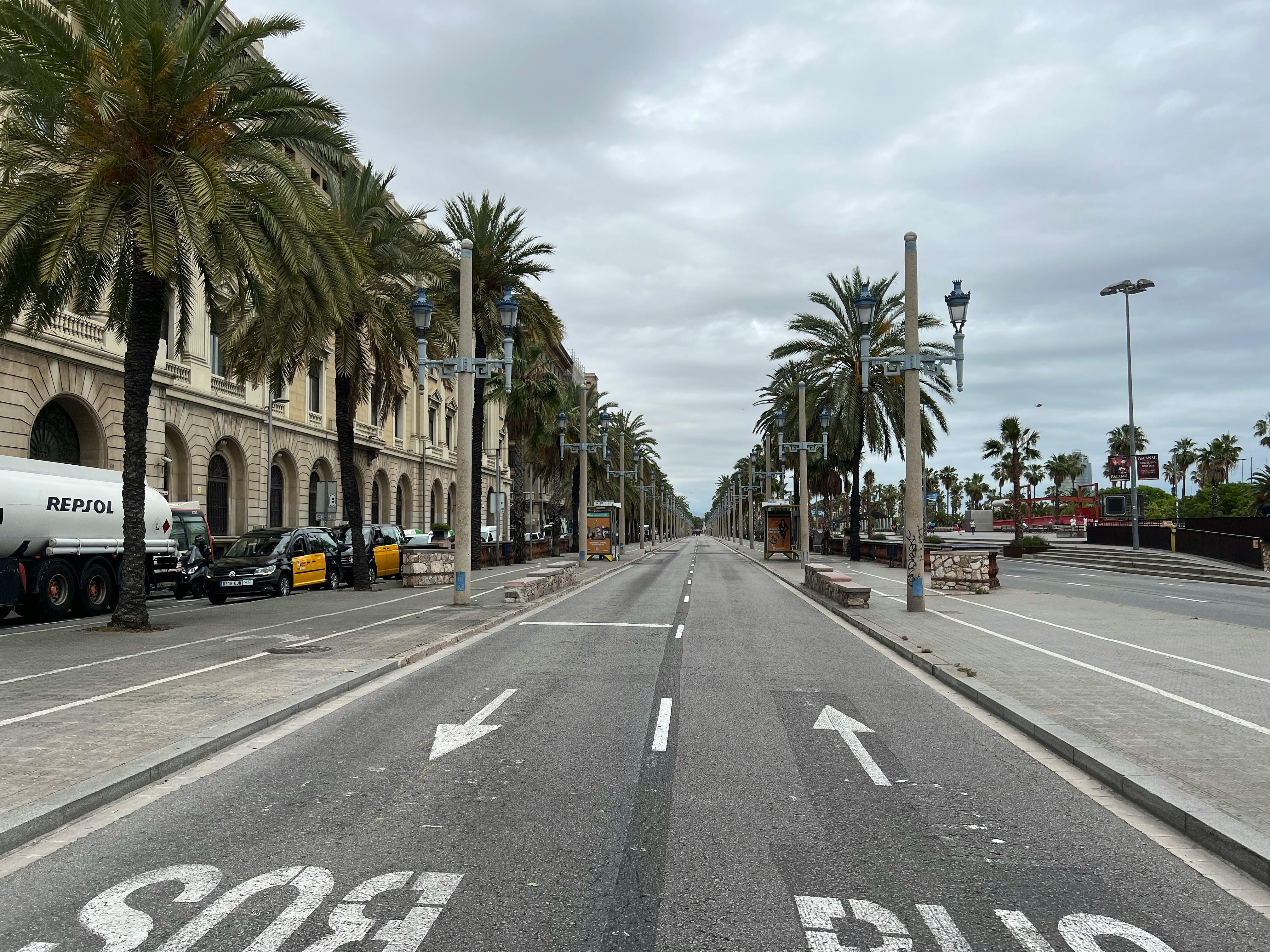 Empty Parking Bays · Free Stock Photo