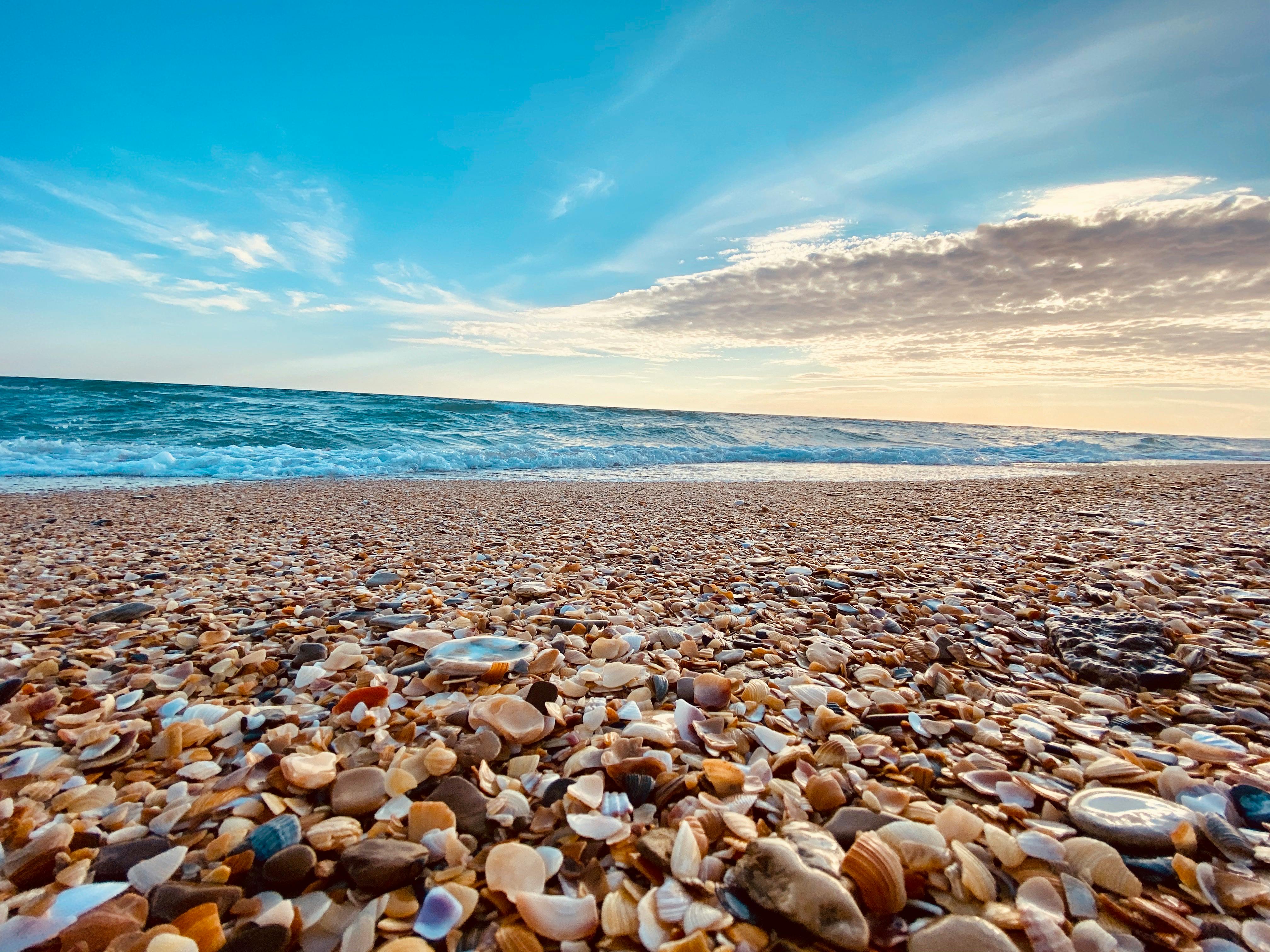 Ground Level Shot of a Beach · Free Stock Photo