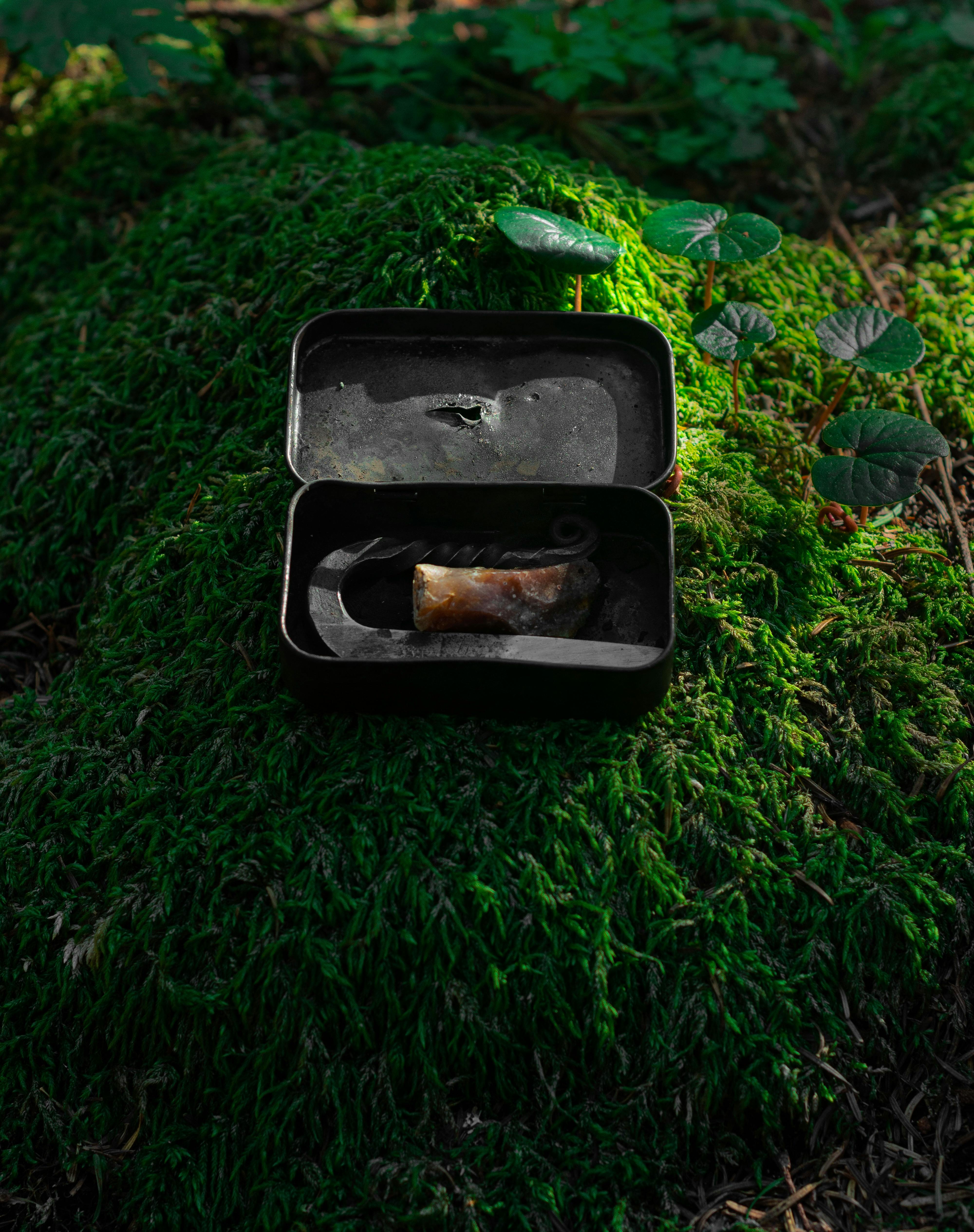 Container with Flint Lying on a Rock Covered in Moss · Free Stock Photo